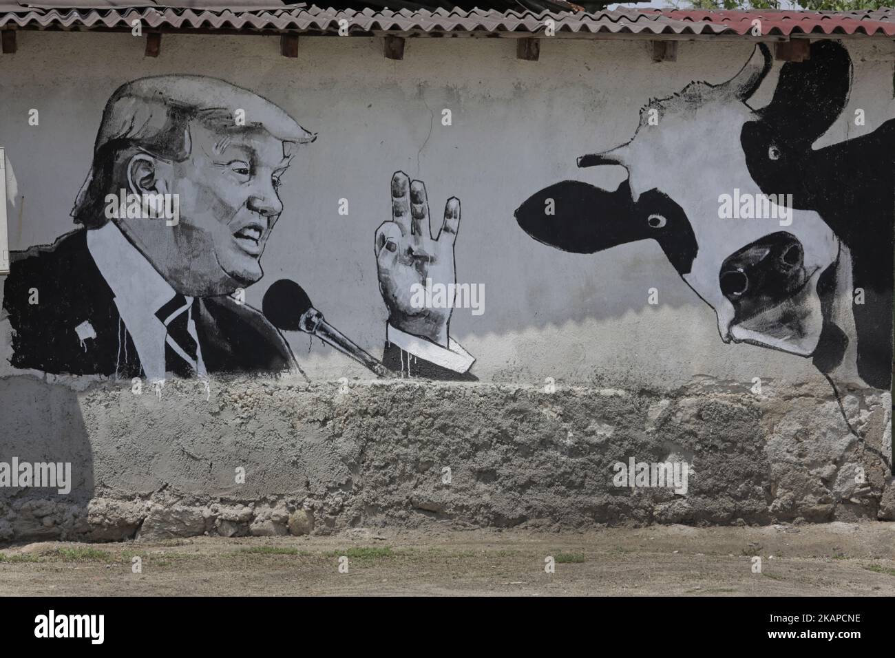 Mural depicting US President Donald Trump is seen on a wall as part of ...