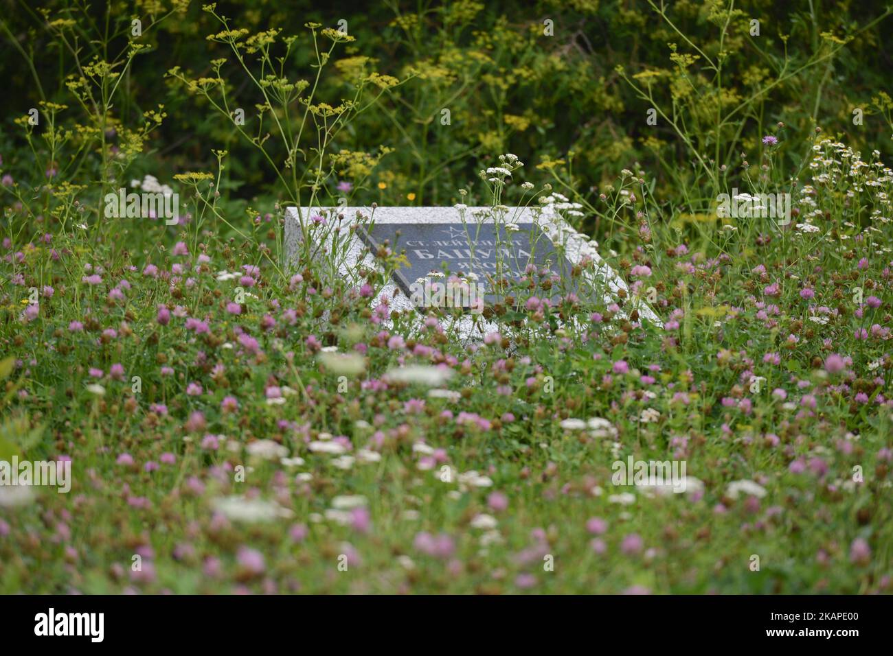 Human tumb hi-res stock photography and images - Alamy