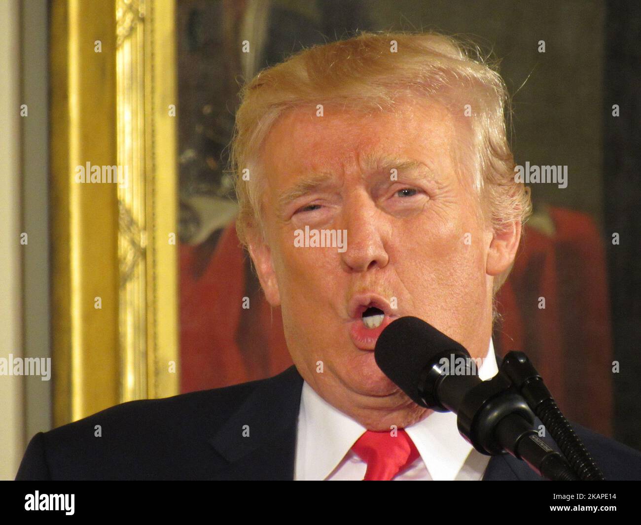 U.S. President Donald Trump delivers remarks during the ceremony to ...