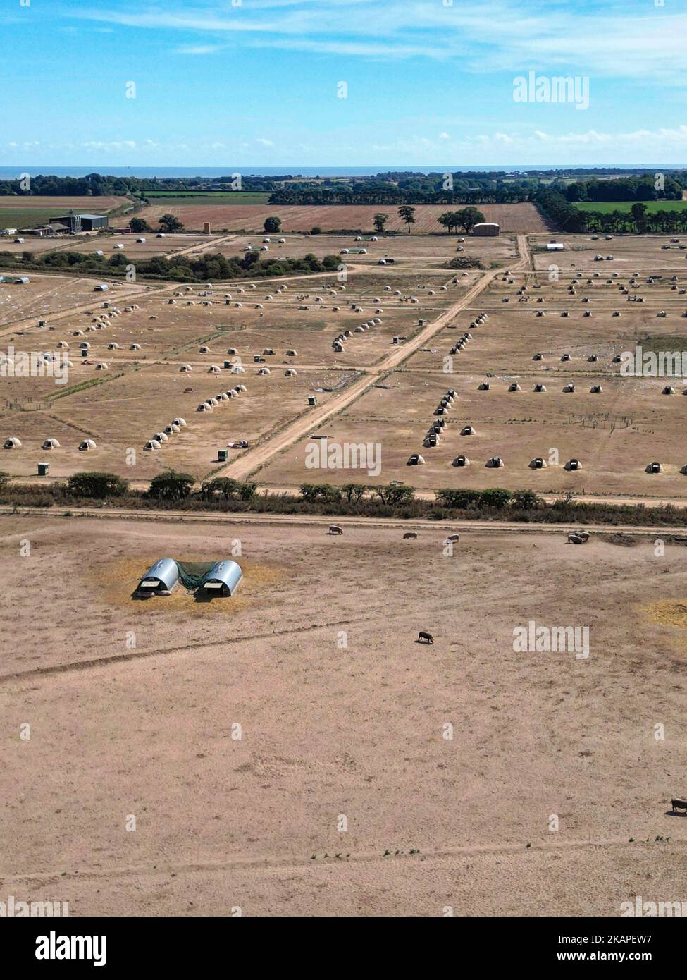 A vertical aerial view of a free-range pig farm in Suffolk Stock Photo ...