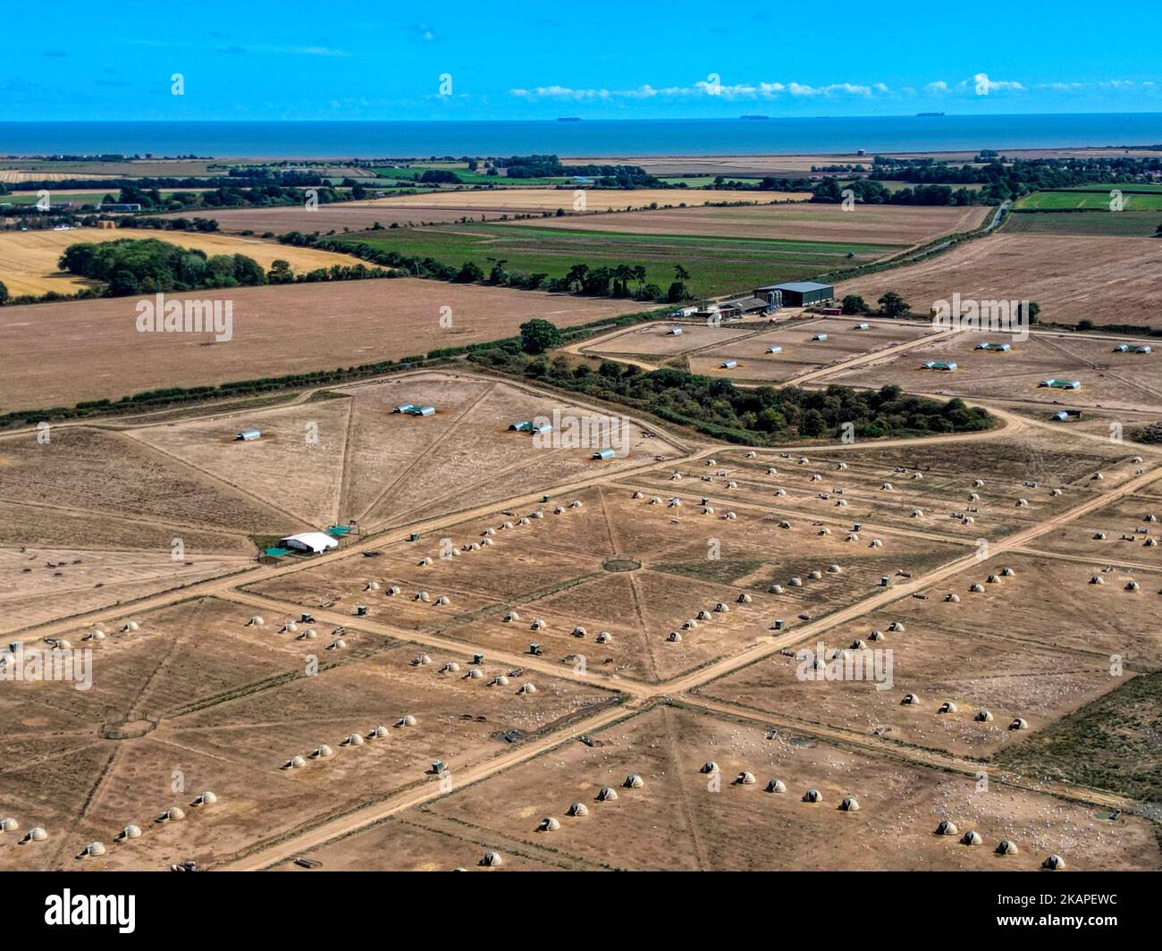An aerial view of a free-range pig farm in Suffolk Stock Photo - Alamy