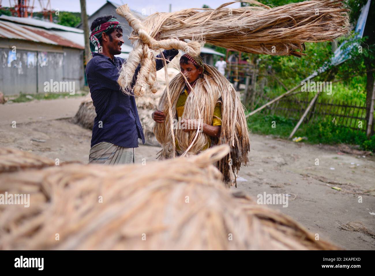 Bangladesh jute harvest hi-res stock photography and images - Alamy