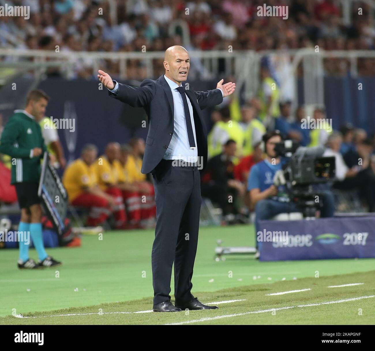 Zinedine zidane celebration hi-res stock photography and images - Alamy