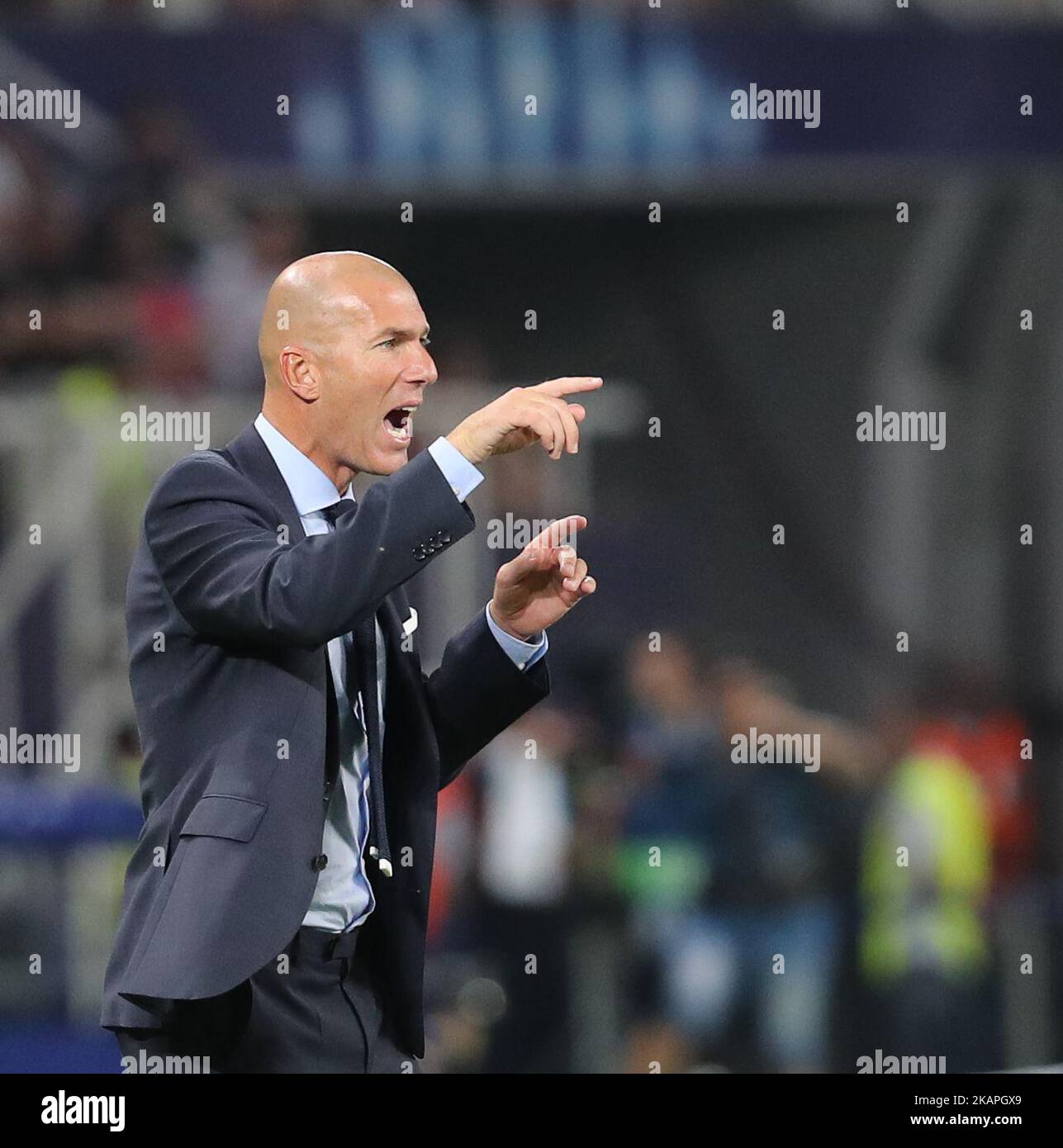 Zinedine zidane celebration hi-res stock photography and images - Alamy