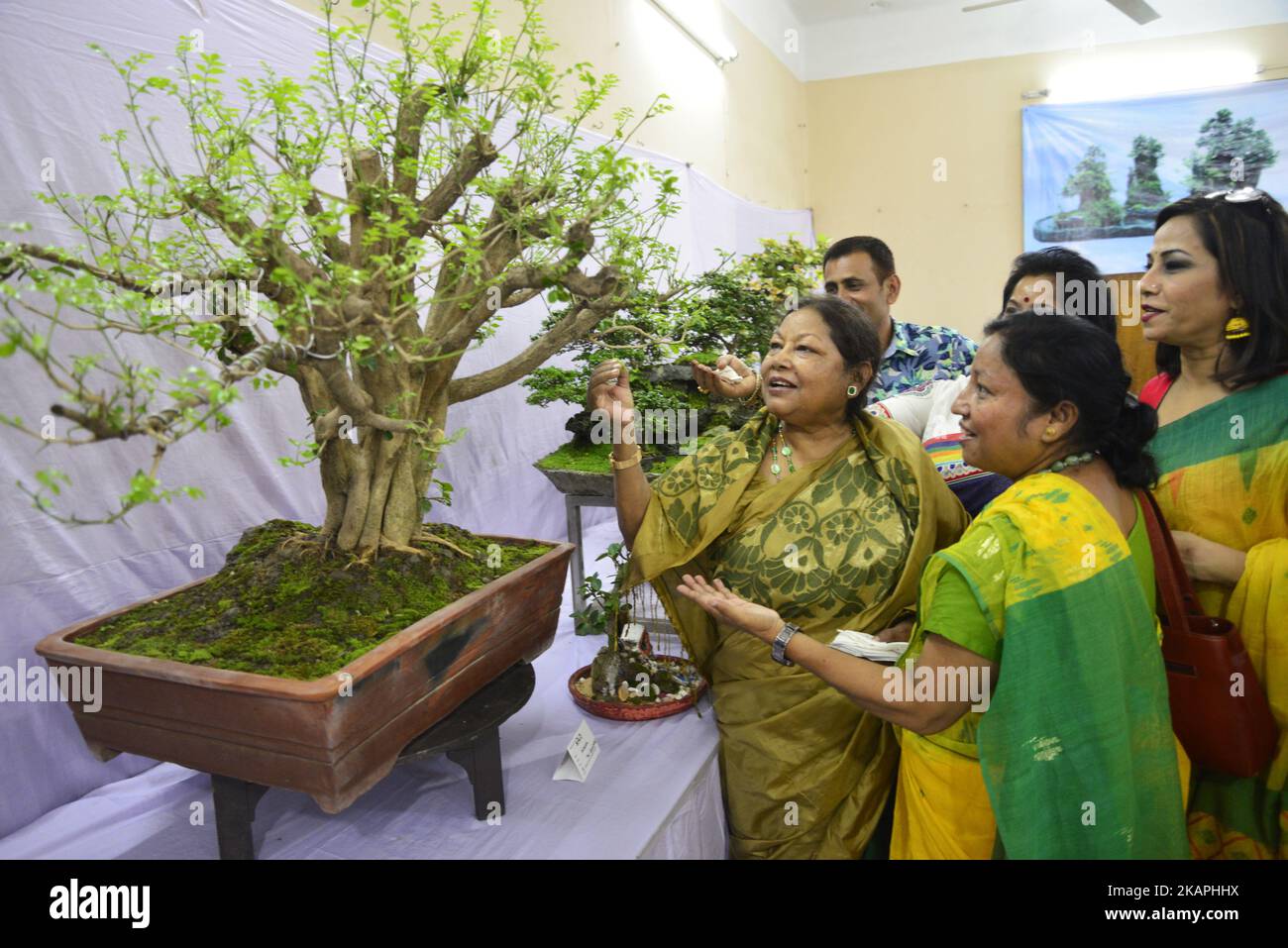 Bangladeshi bonsai hi-res stock photography and images - Alamy