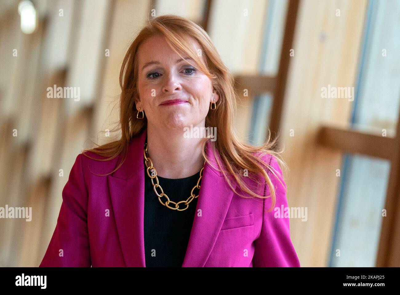 Ash regan community safety minister hi-res stock photography and images ...