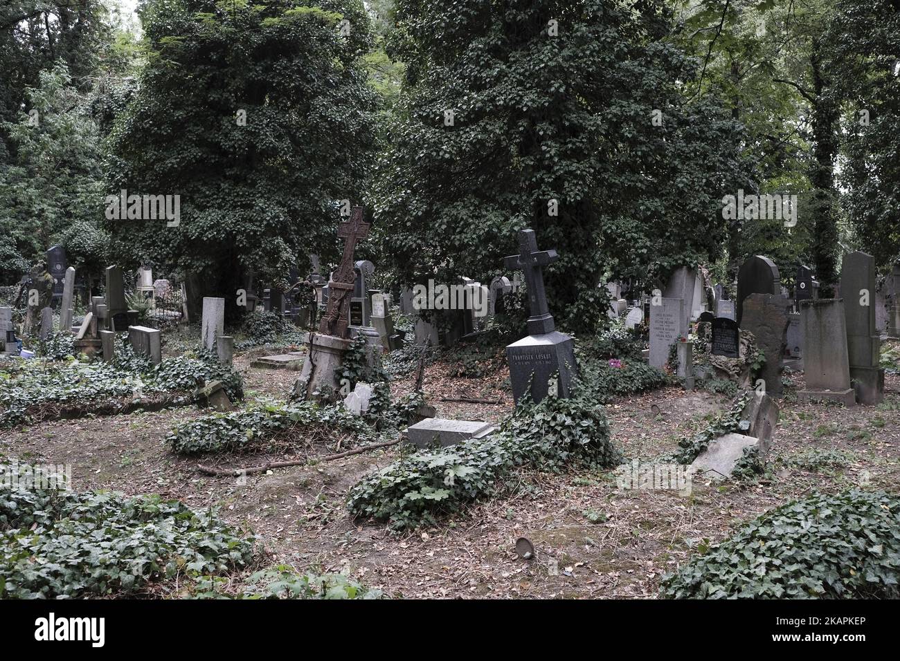 Prague olsany cemetery hi-res stock photography and images - Alamy