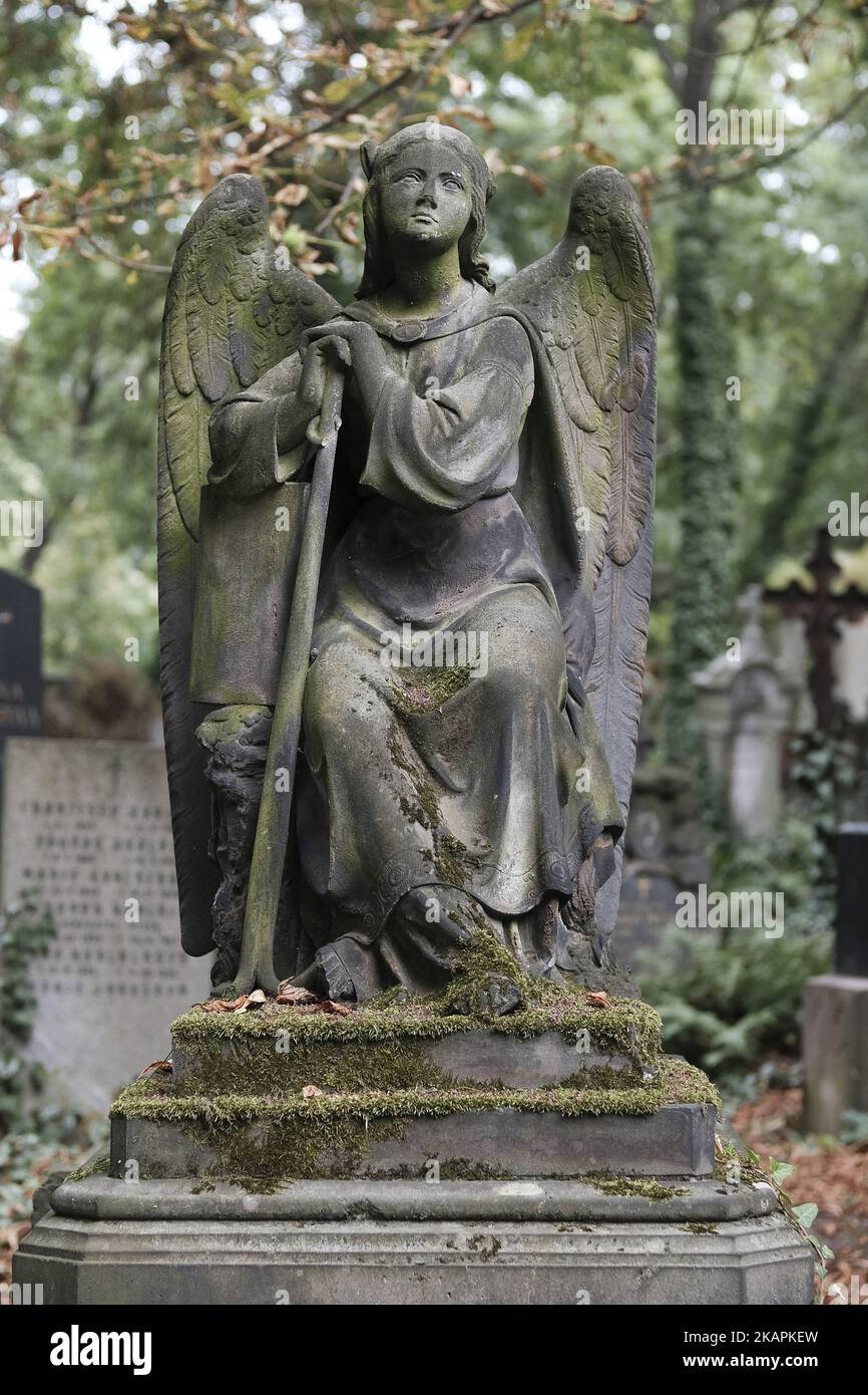 The Olsany Cemetery is the largest cemetery in the city of Prague, was ...