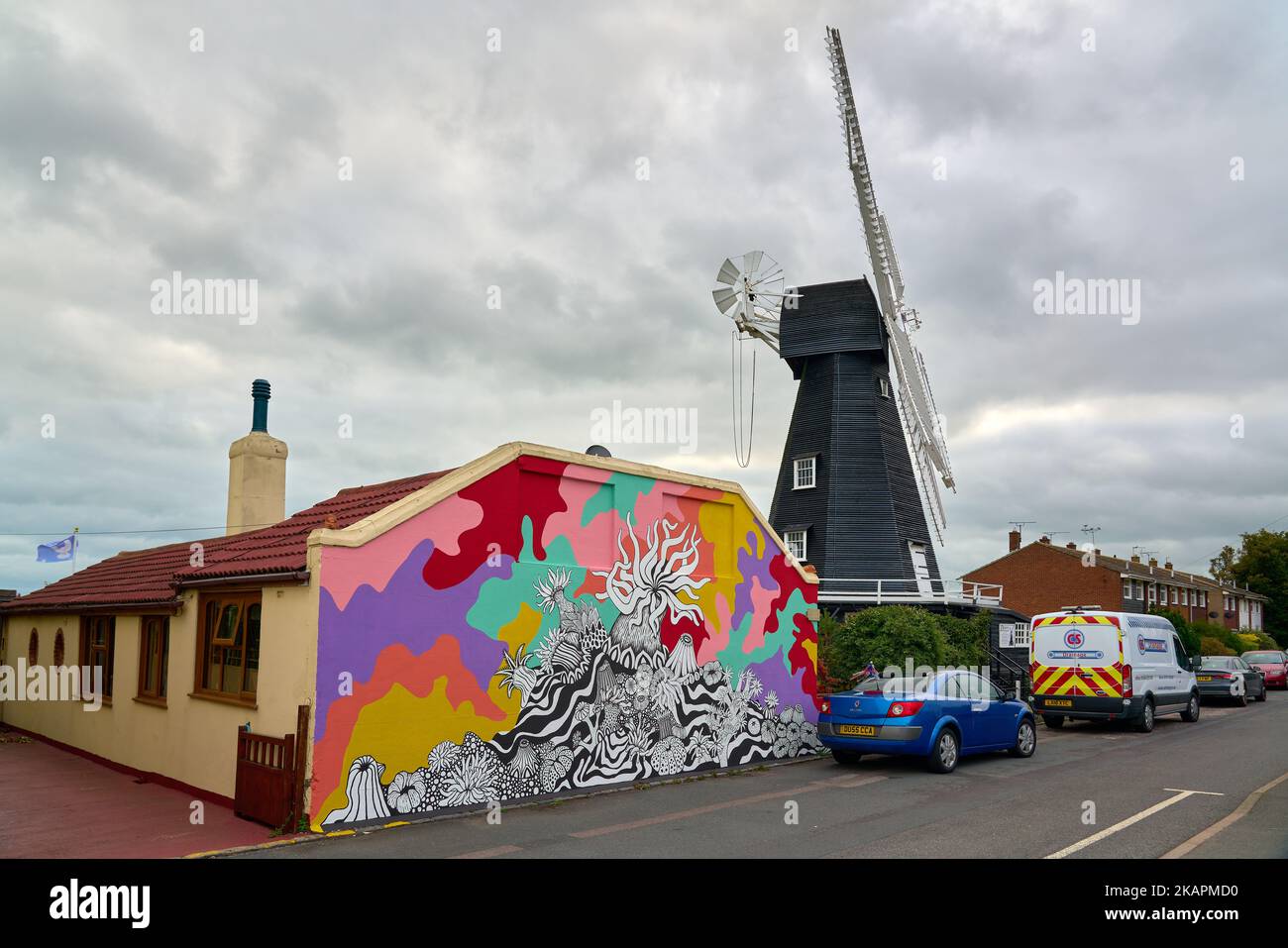 A large scale mural by artist Lily Mixe as part of the Rise Up ...