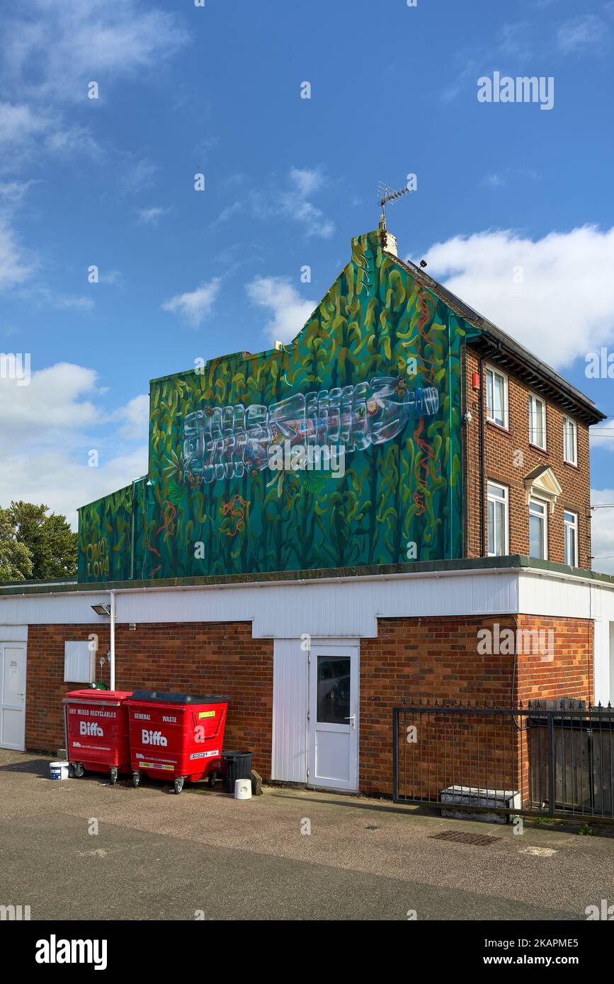 A large scale mural by artist Louis Masai as part of the Rise Up ...