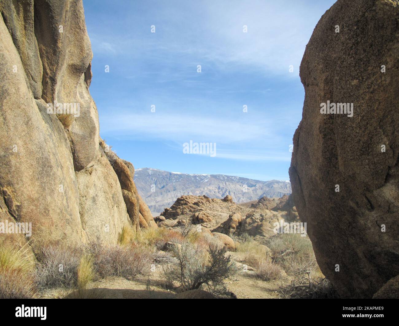 A desert valley with big rocks, plants, and mountains in the background ...