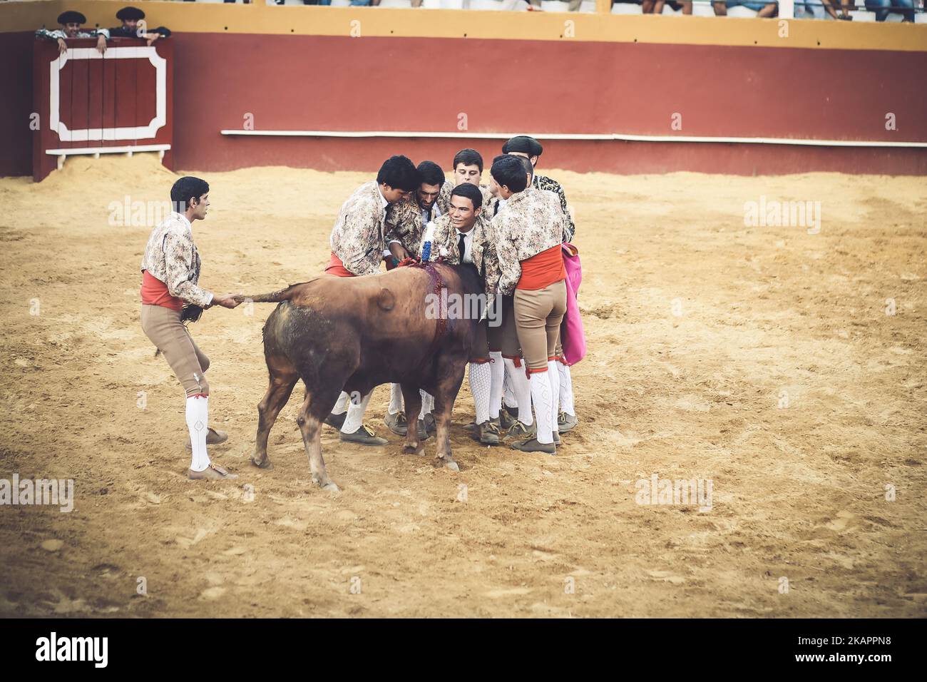 Forcados hi-res stock photography and images - Alamy