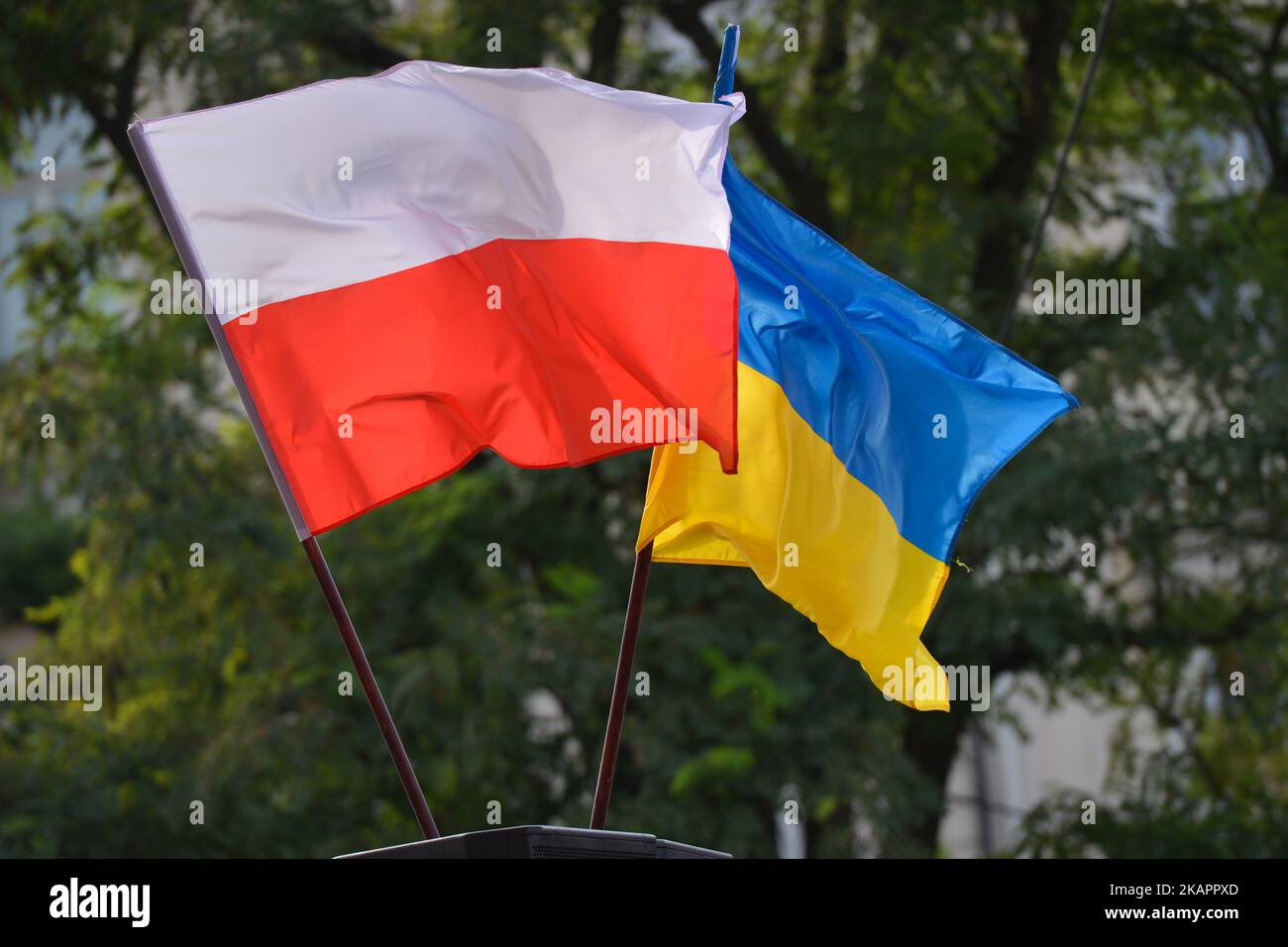 Polish and Ukrainian flags seen during 'Ukrainian Day' at the 41st ...