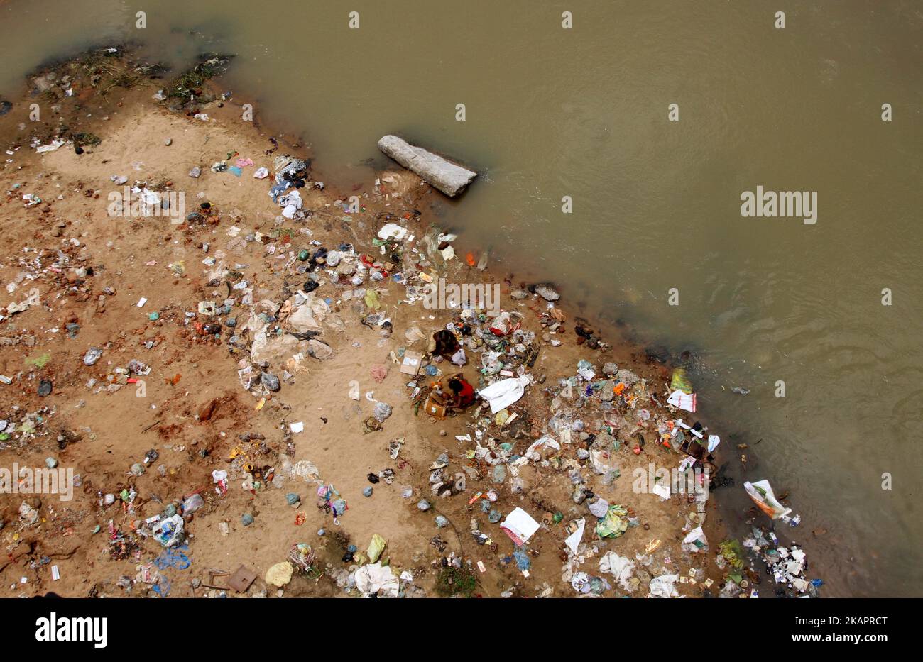 Rag pickers look on the banks of river Kuakhai as they are busy to ...