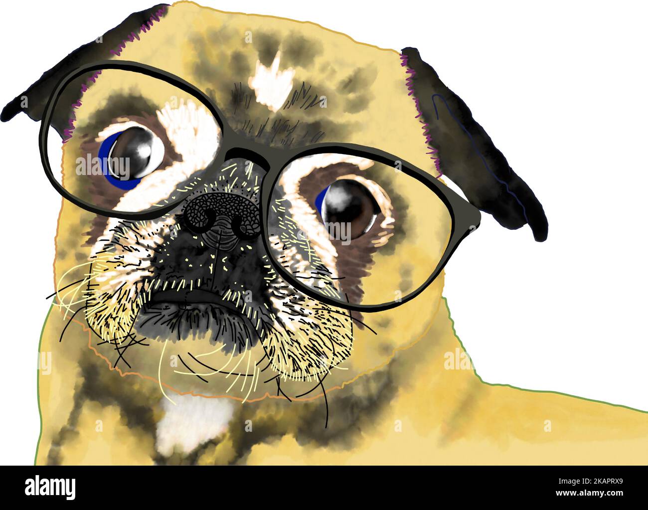 Dog Questioning Look