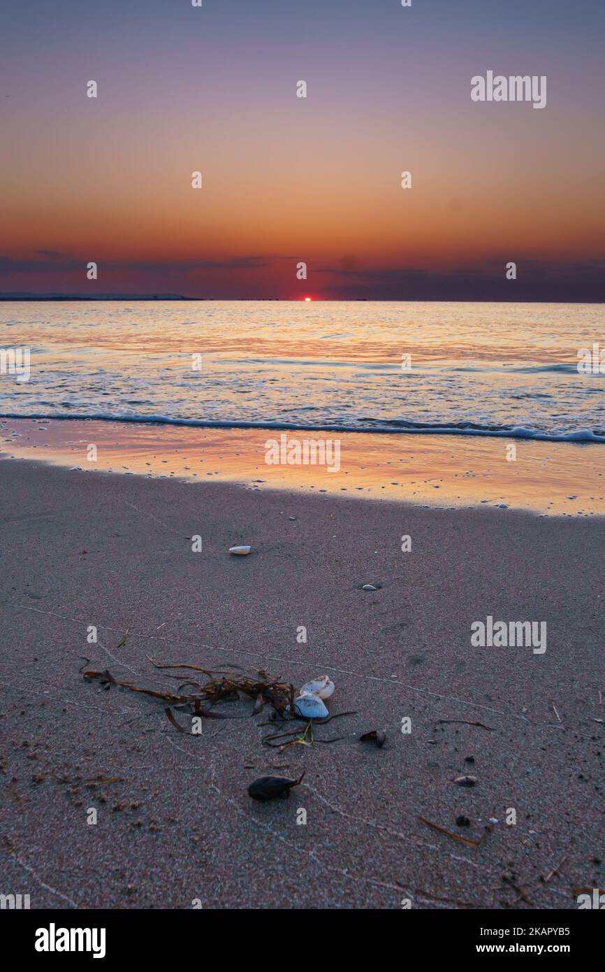 A broken shell on the beach by the sunset sea with horizon orange sky ...