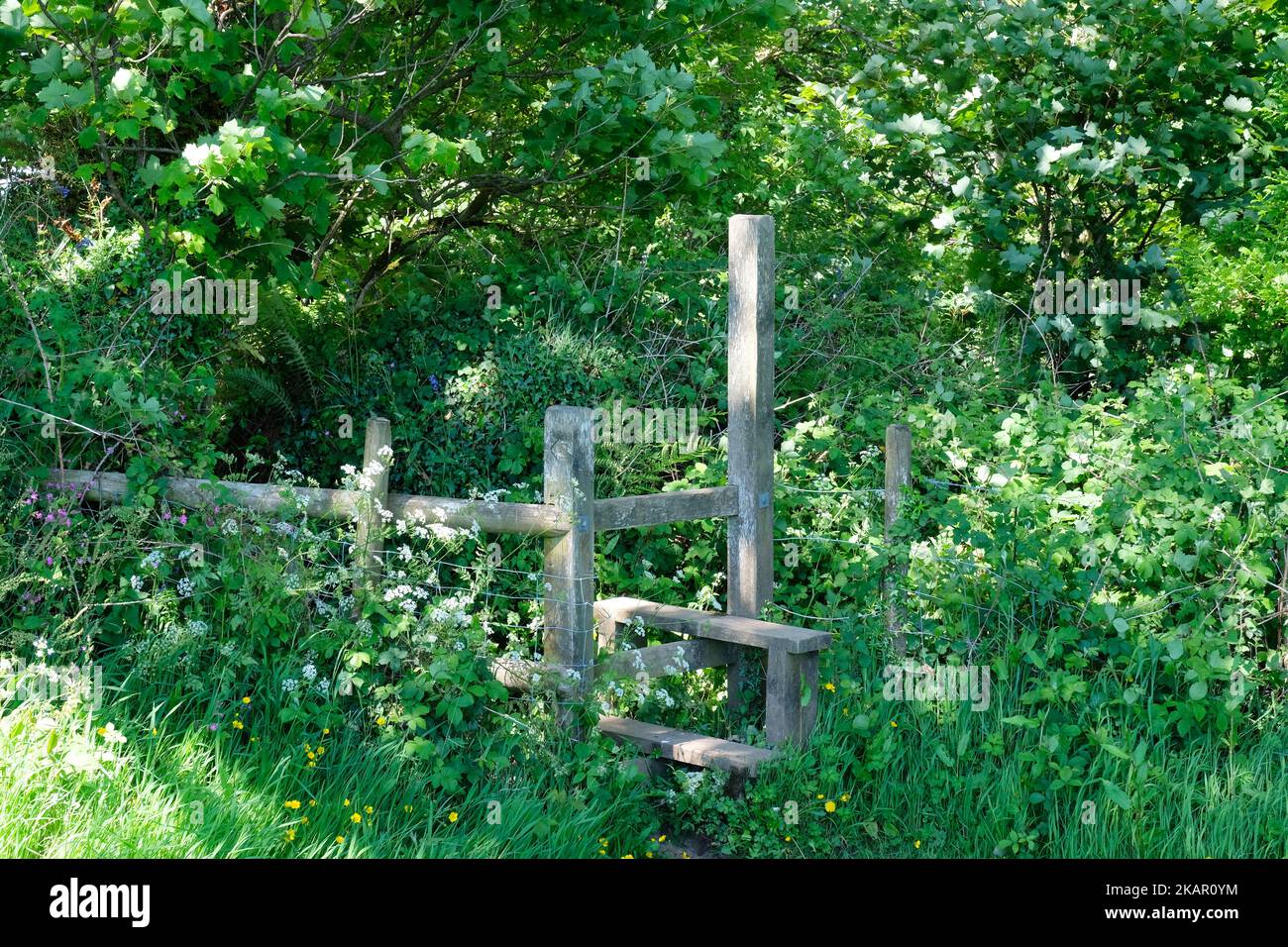 Footpath wooden country stile hi-res stock photography and images - Alamy