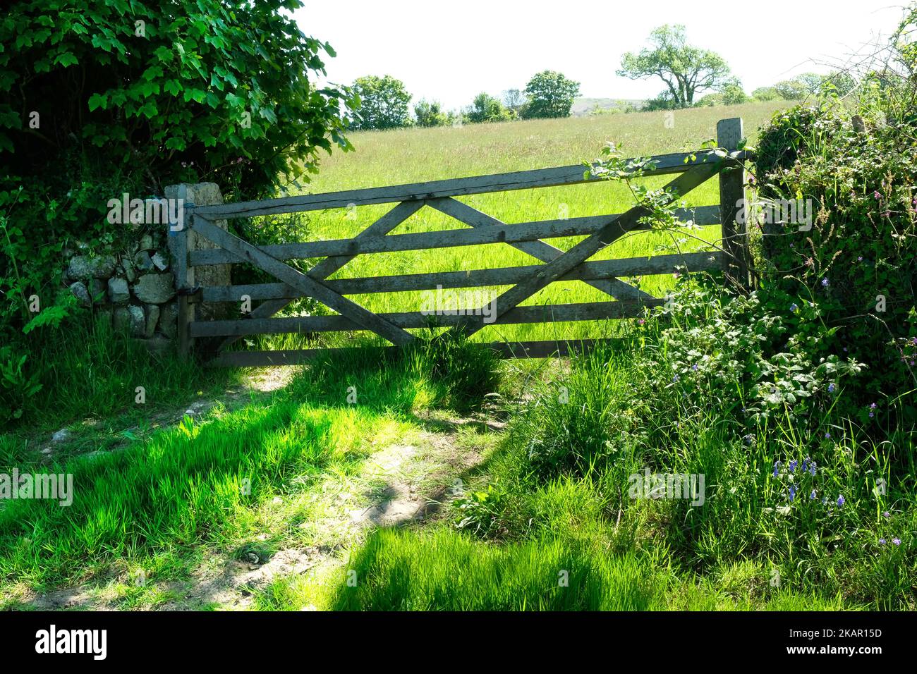 Wooden five barred gate in summer sunshine - John Gollop Stock Photo ...