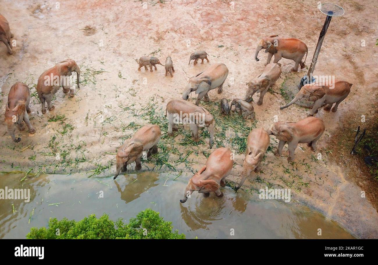 Ex situ conservation hi-res stock photography and images - Alamy