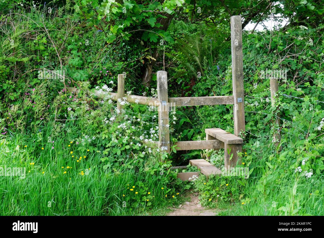 Wooden country stile marking a public footpath - John Gollop Stock ...