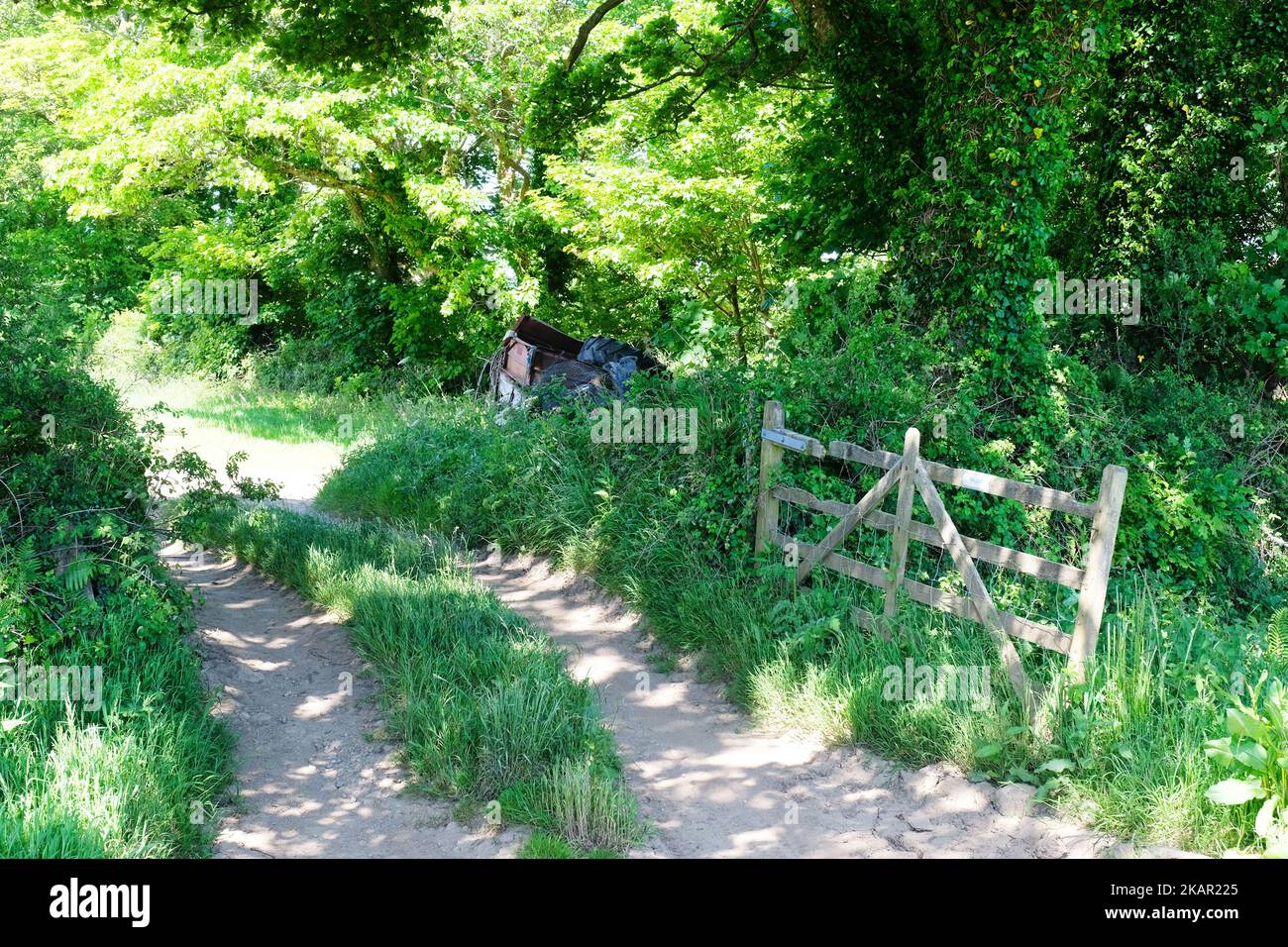 Wooden five barred gate in summer sunshine - John Gollop Stock Photo ...
