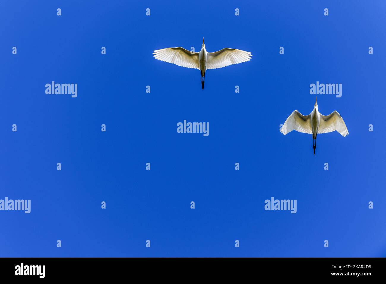 Bottom view two hi-res stock photography and images - Alamy