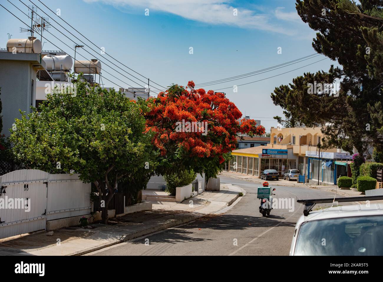 A beautiful street view with colorful trees and buildings in sunlight ...