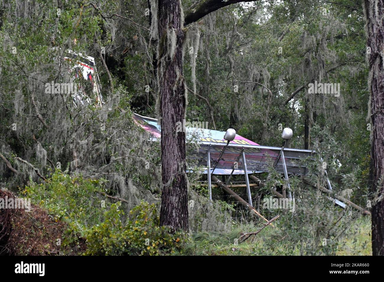 An advertisement sing fell between Spanish moss covered trees along ...