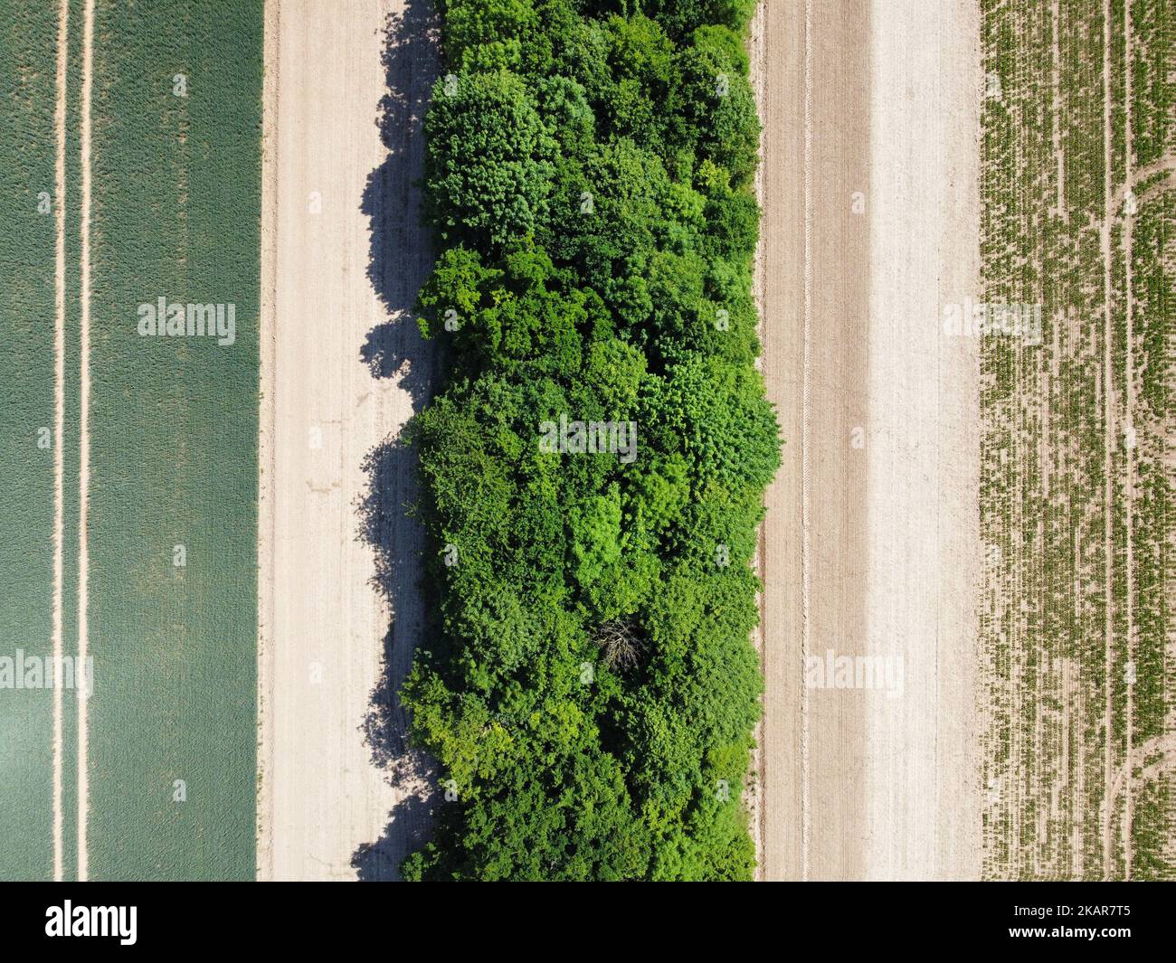 An aerial shot of a landscape with tractor lines in field Stock Photo ...