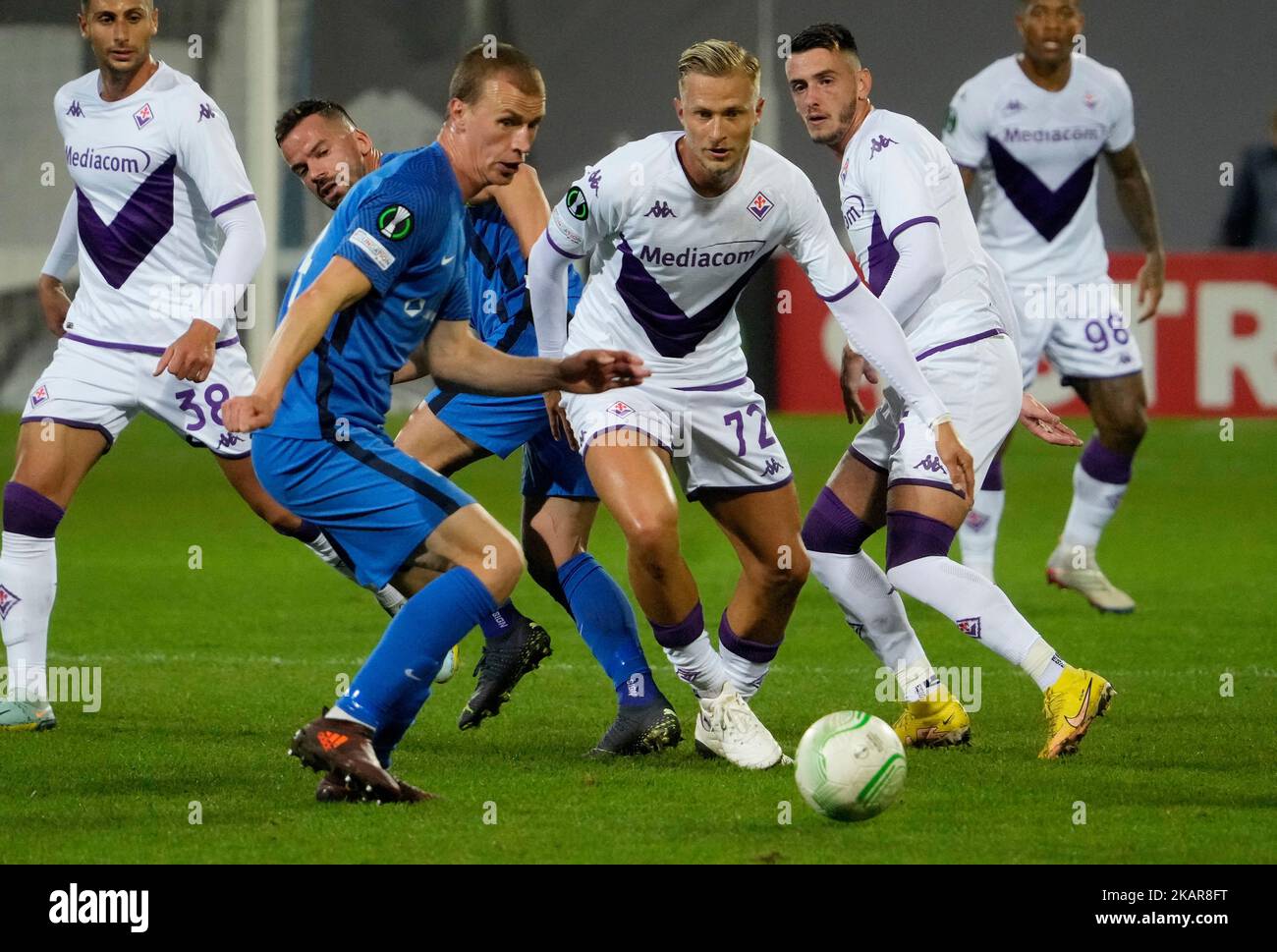 Mares petr rfs hi-res stock photography and images - Alamy