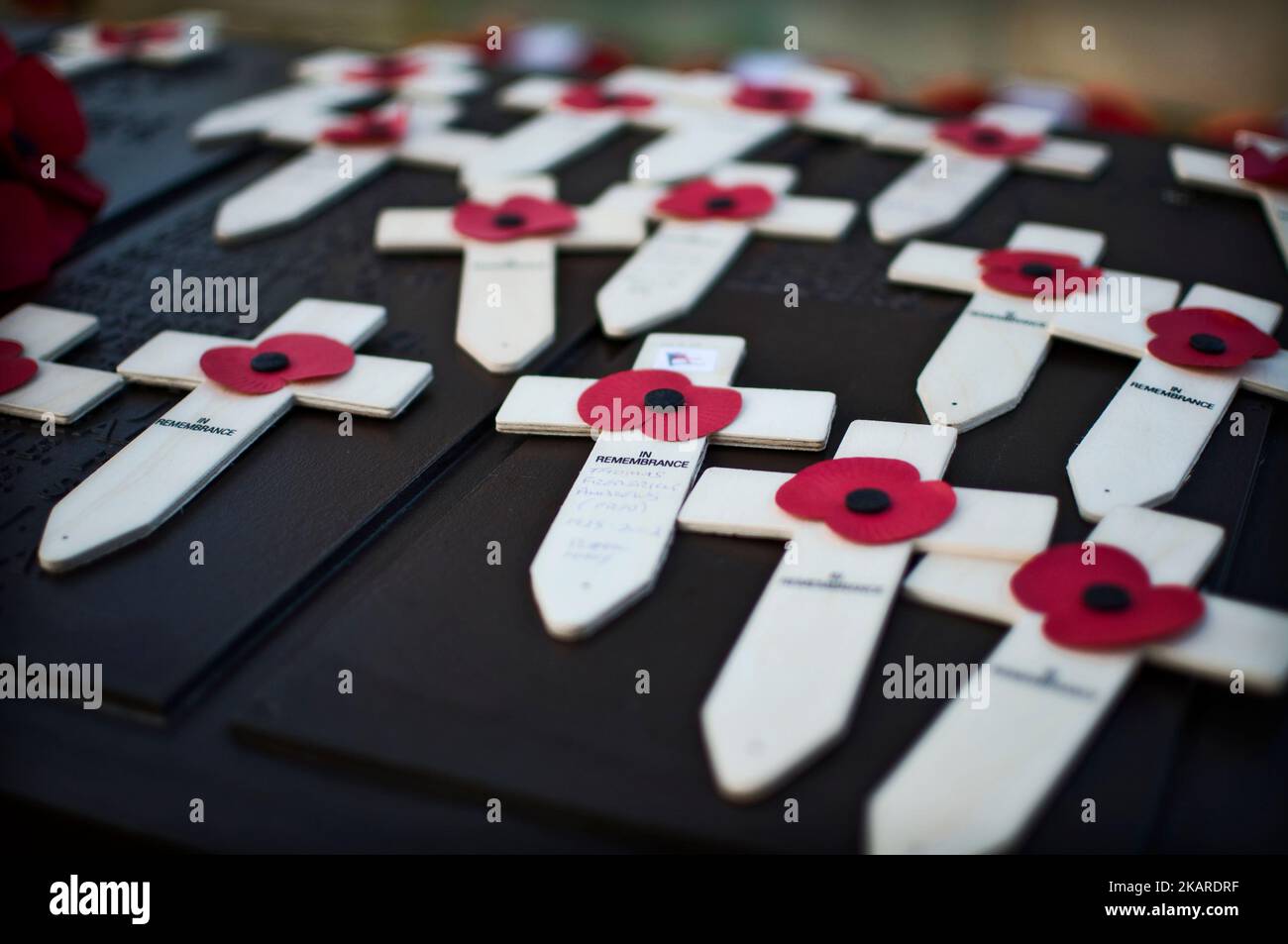 Remembrance crosses with poppies gathered together at a remembrance ...