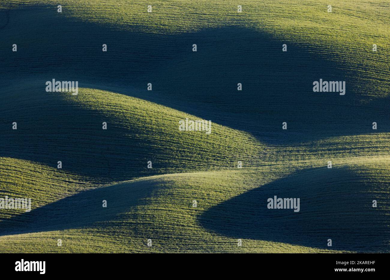 Grassland textures hi-res stock photography and images - Alamy