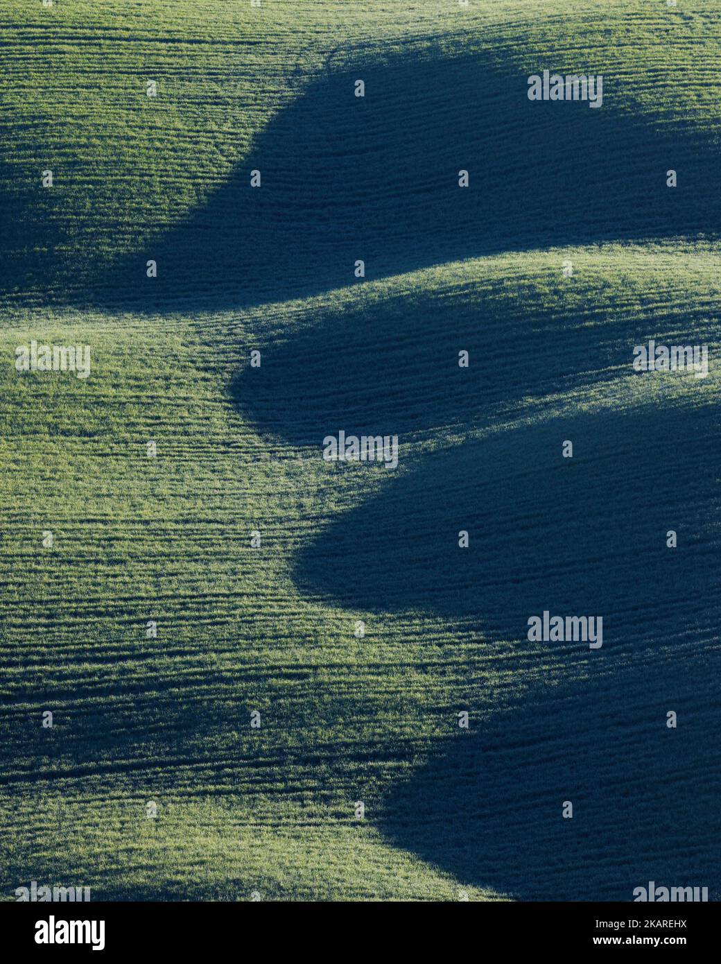 Grassland textures hi-res stock photography and images - Alamy