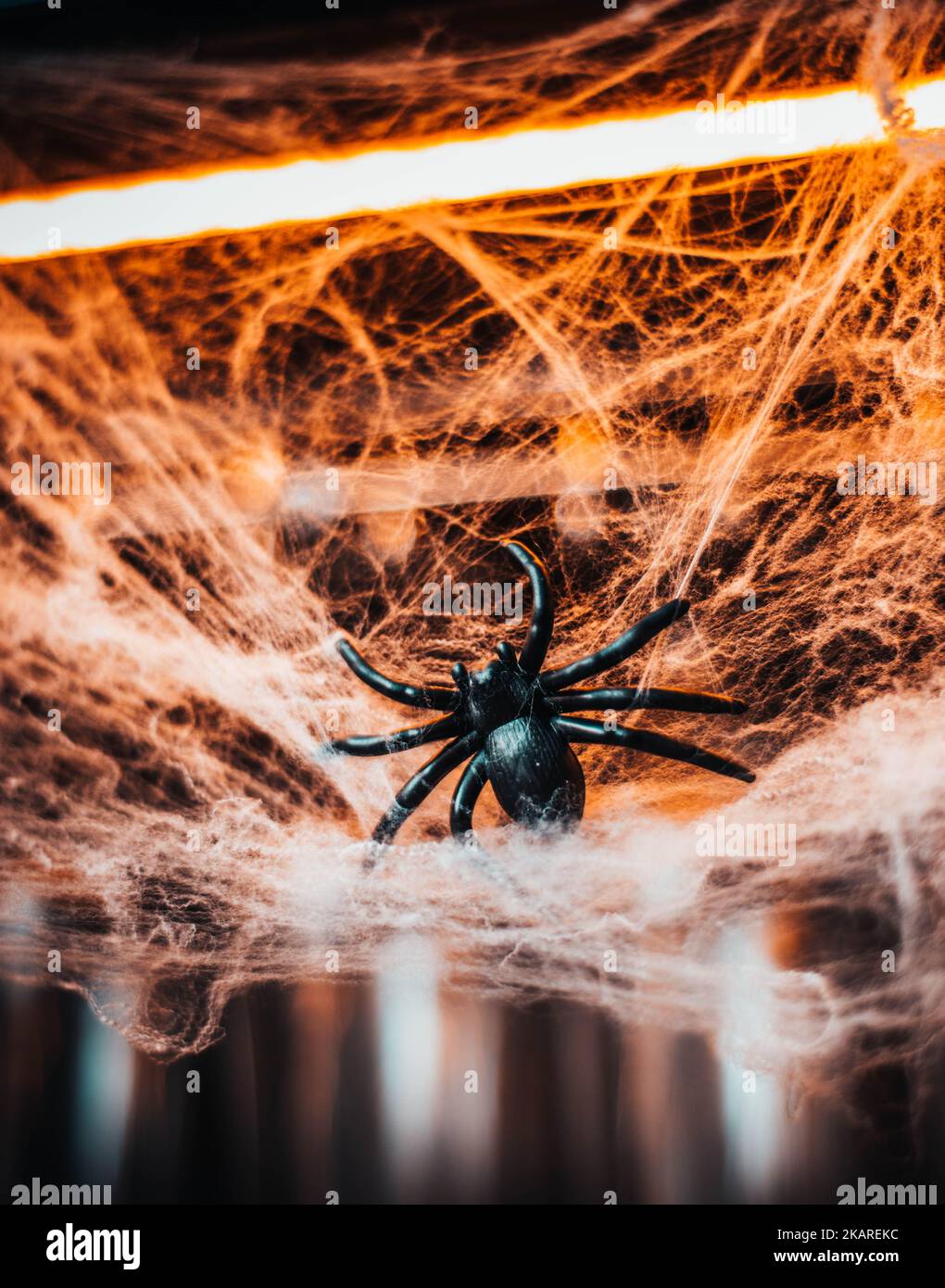 Decoration tarantula spider for halloween Stock Photo - Alamy