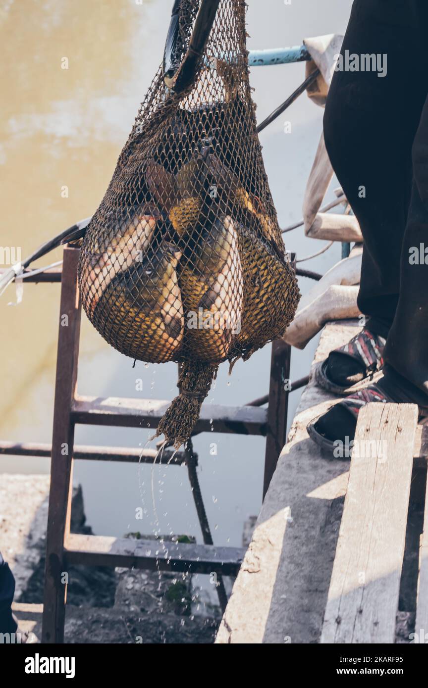 White fish net hi-res stock photography and images - Alamy