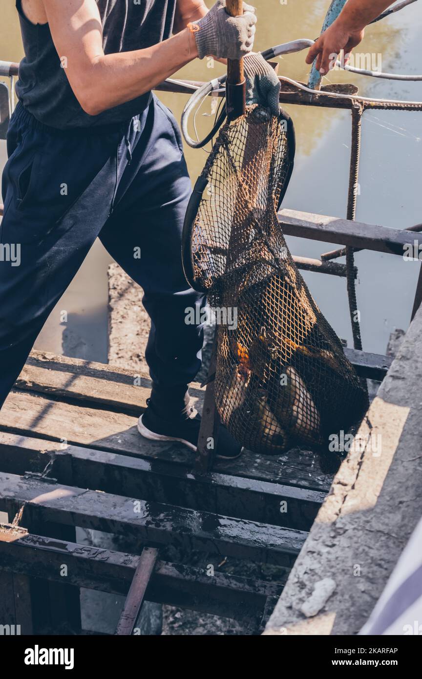 Large net of fish hi-res stock photography and images - Alamy