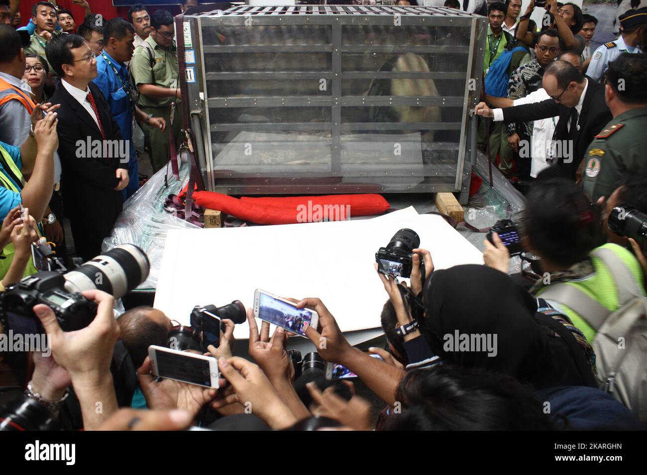 A couples of Giant Pandas arrived at the cargo terminal of Soekarno ...