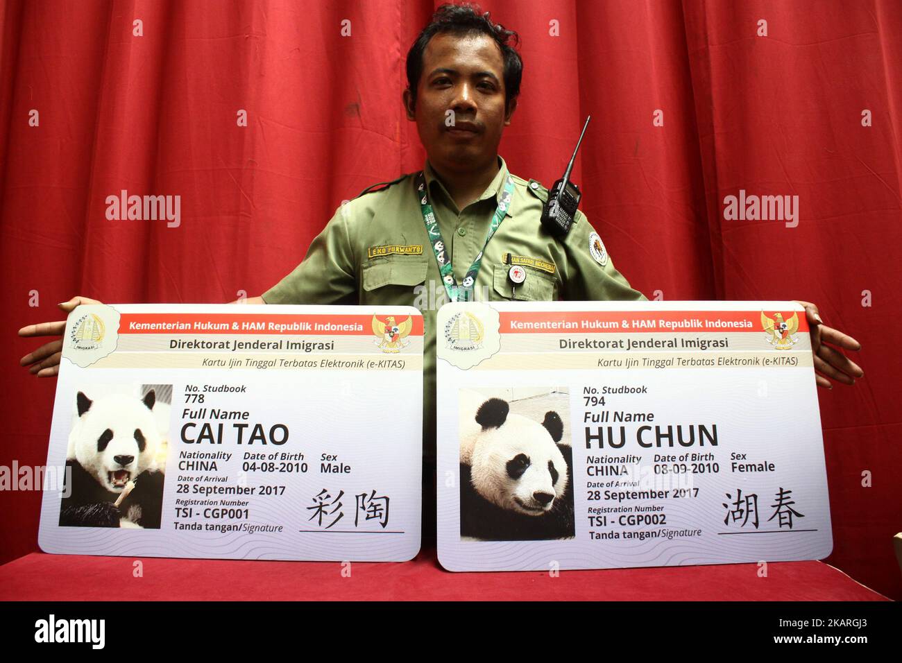 A couples of Giant Pandas arrived at the cargo terminal of Soekarno ...