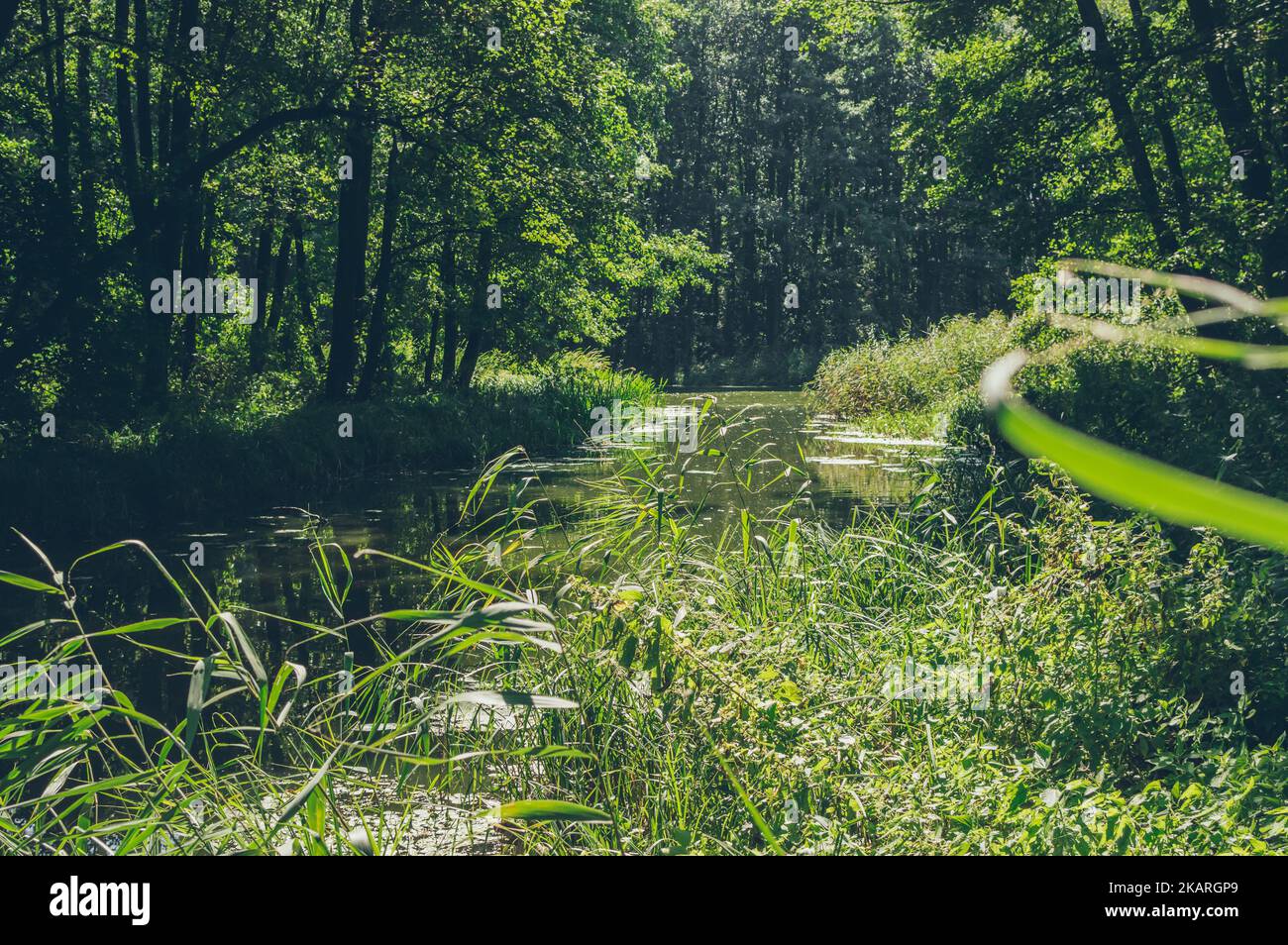 Novokhutornoe hi-res stock photography and images - Alamy