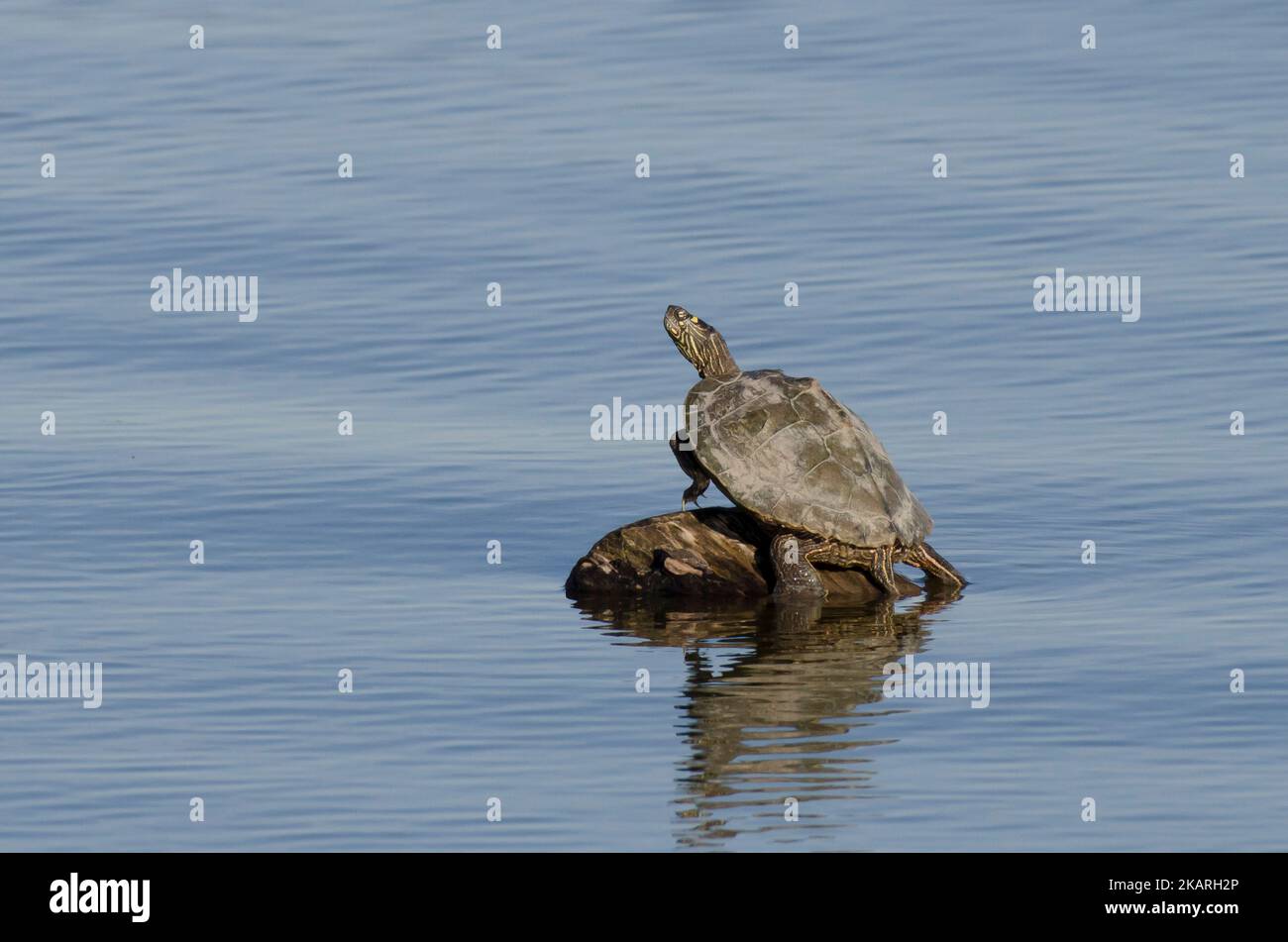 Rock lake map hi-res stock photography and images - Alamy