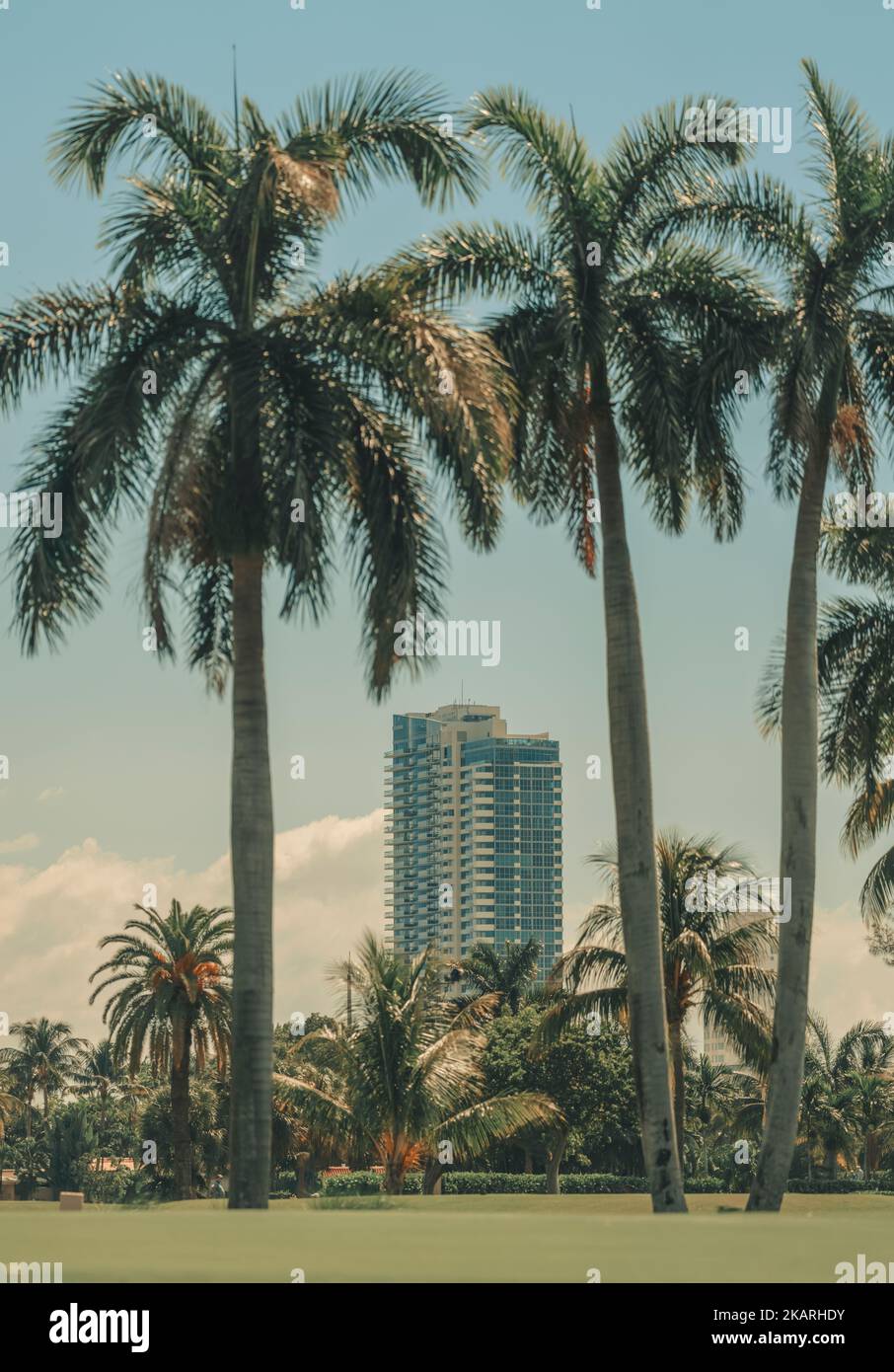 Miami luxury buildings hi-res stock photography and images - Alamy