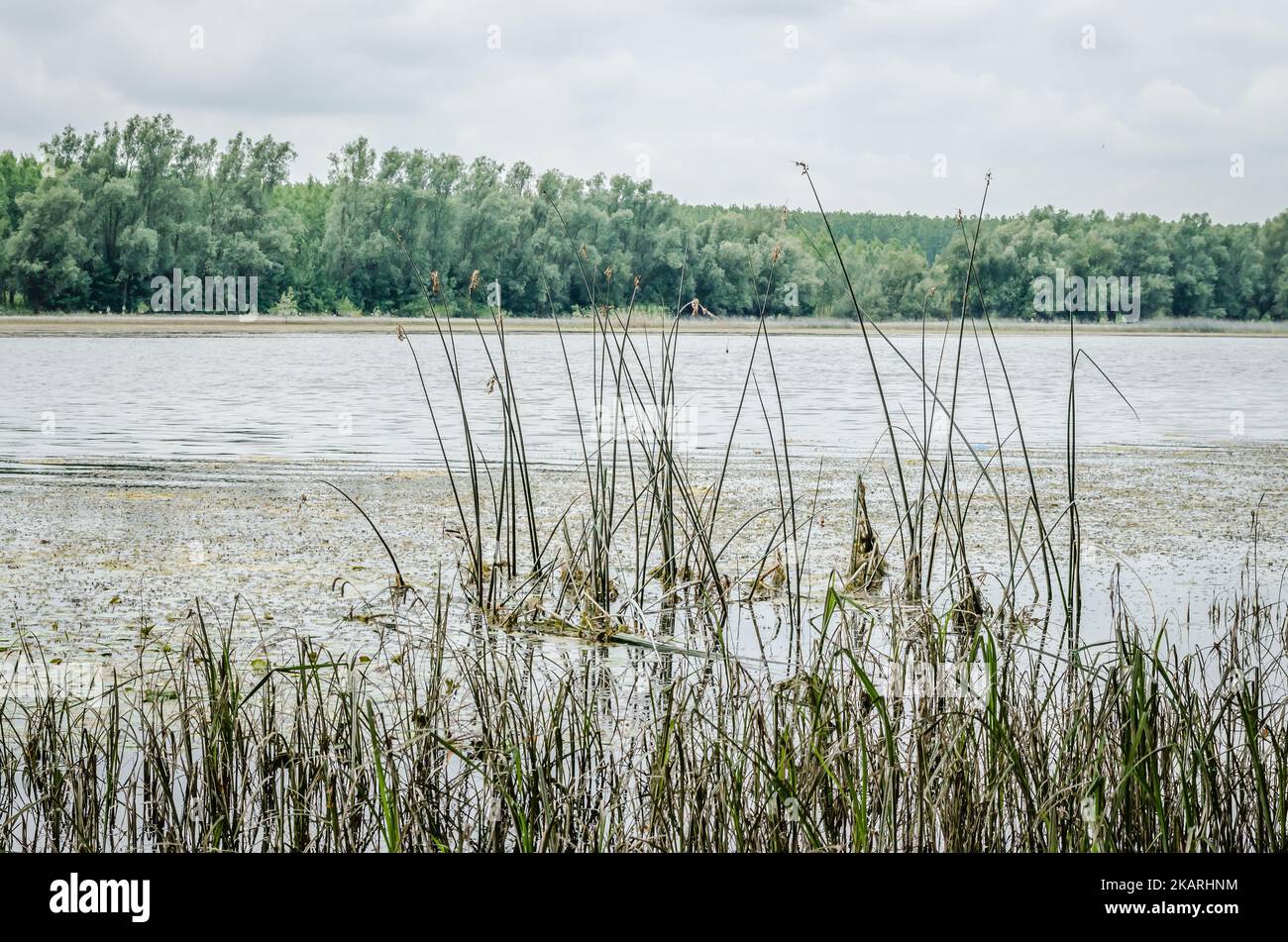 A panoramic view of the constructed artificial lake. A panoramic view ...