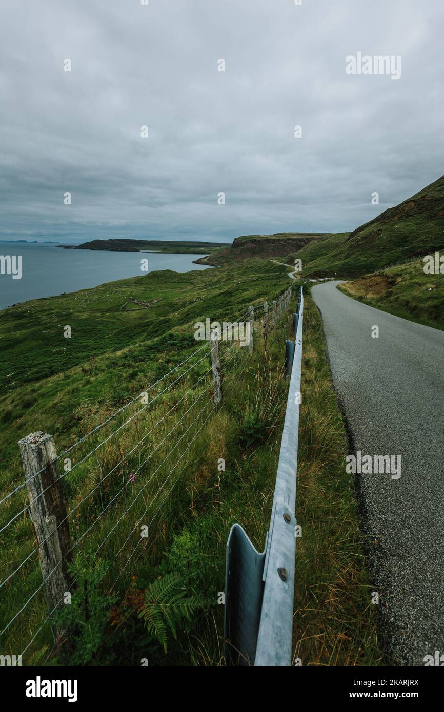 A vertical shot of from a road a lake surrounded by green landscape ...
