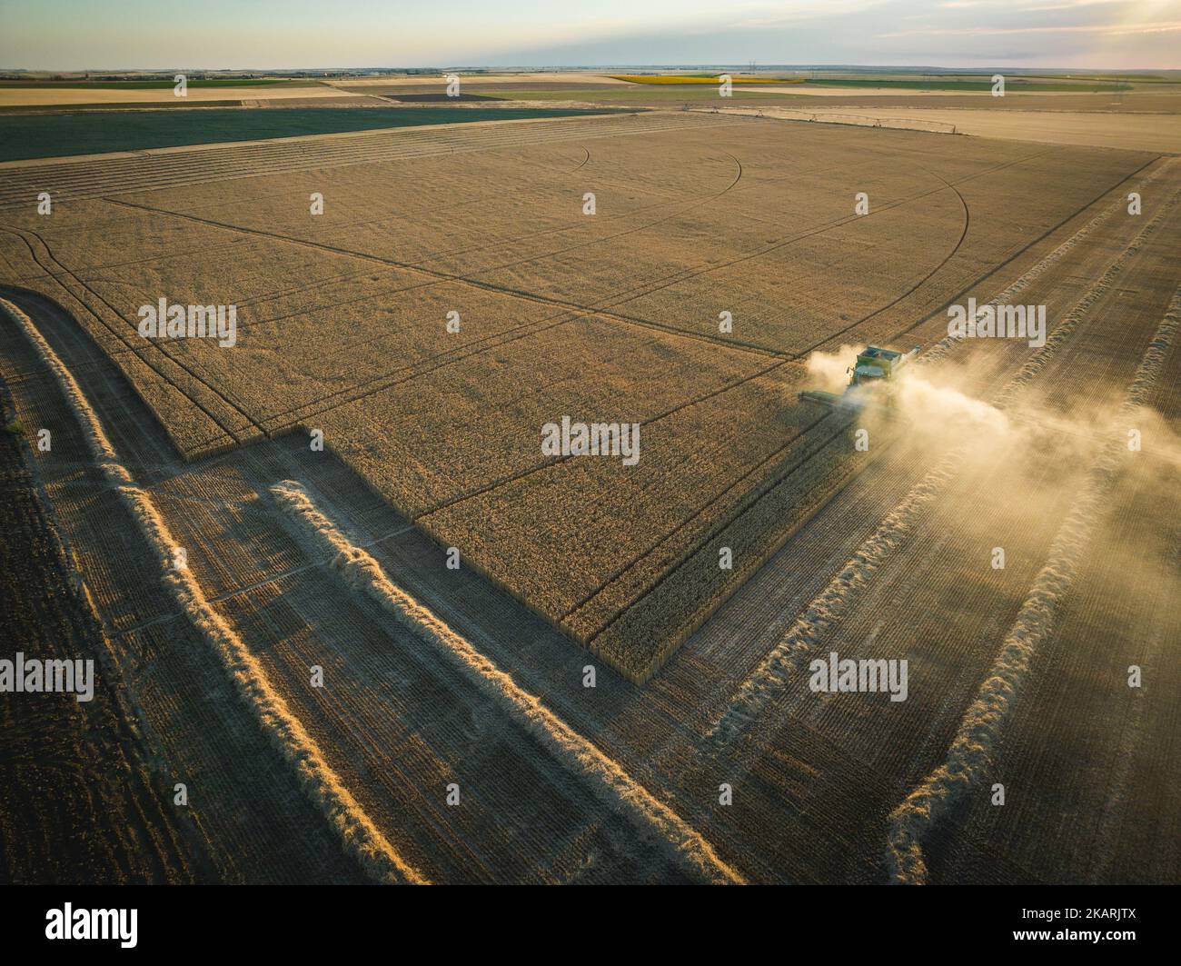 combine harvester working over corn field from aerial point of view ...