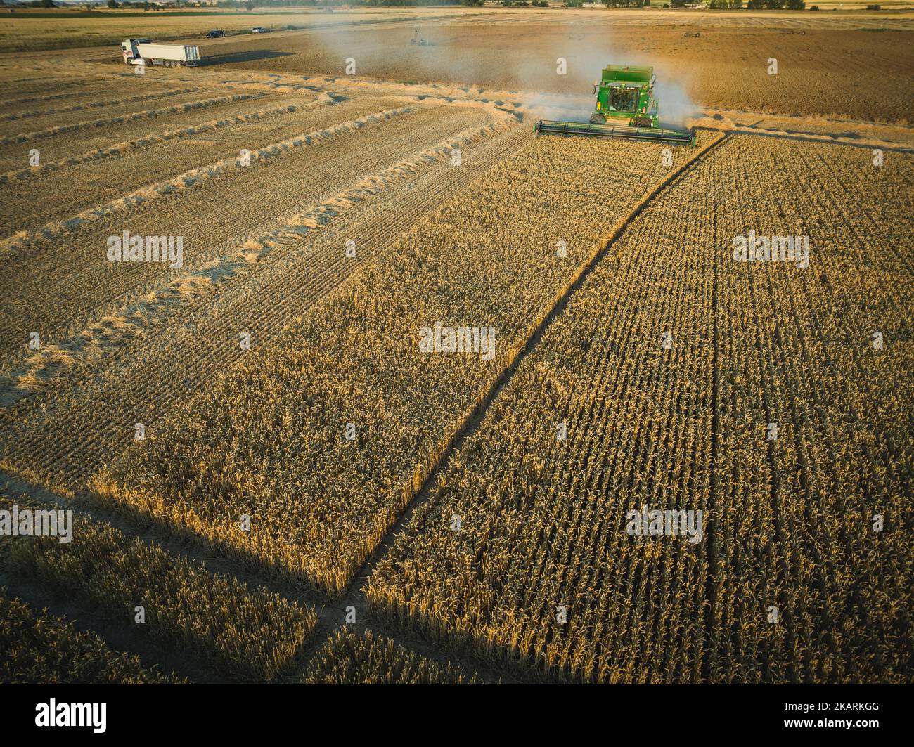 combine harvester working over corn field from aerial point of view ...