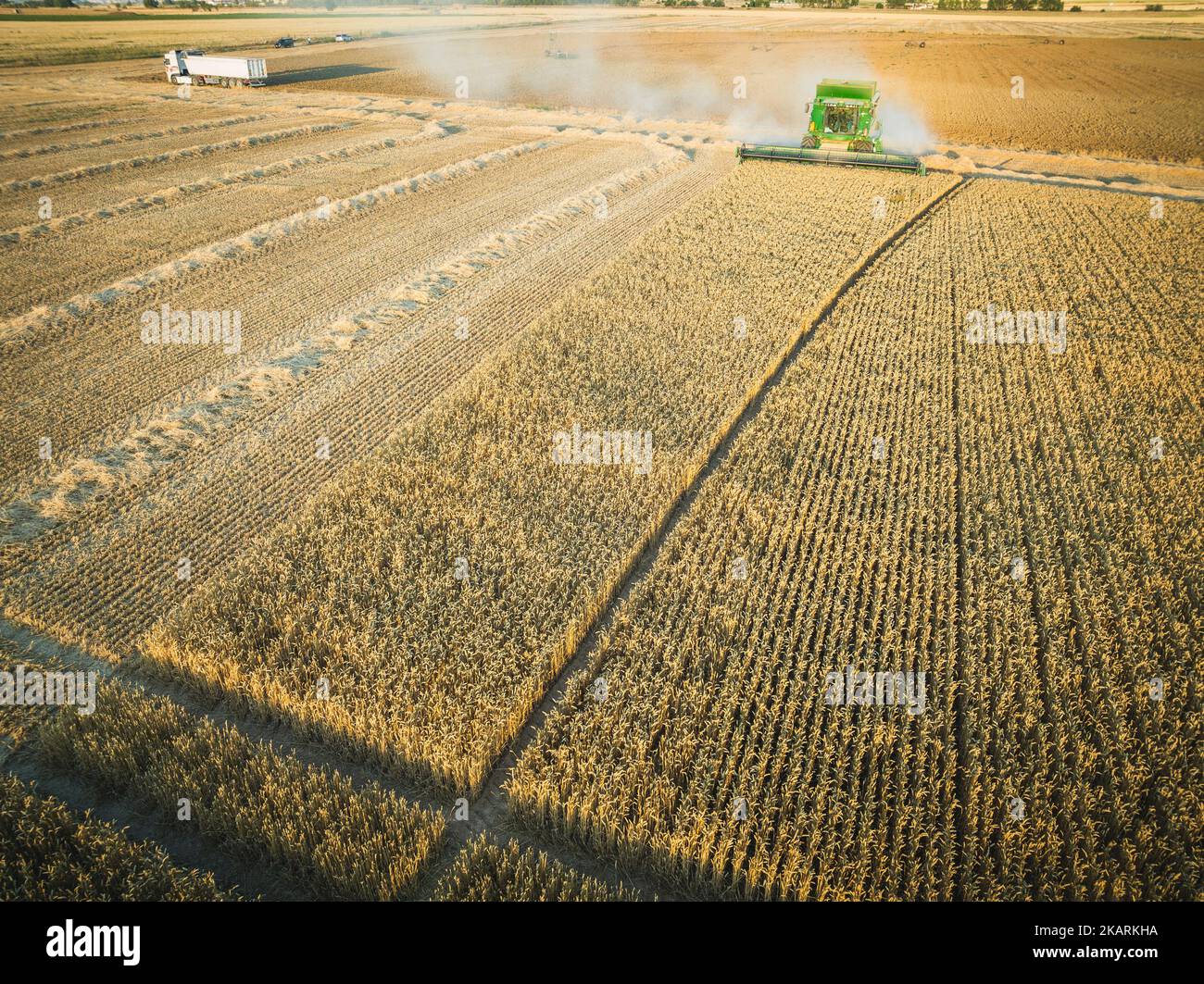combine harvester working over corn field from aerial point of view ...