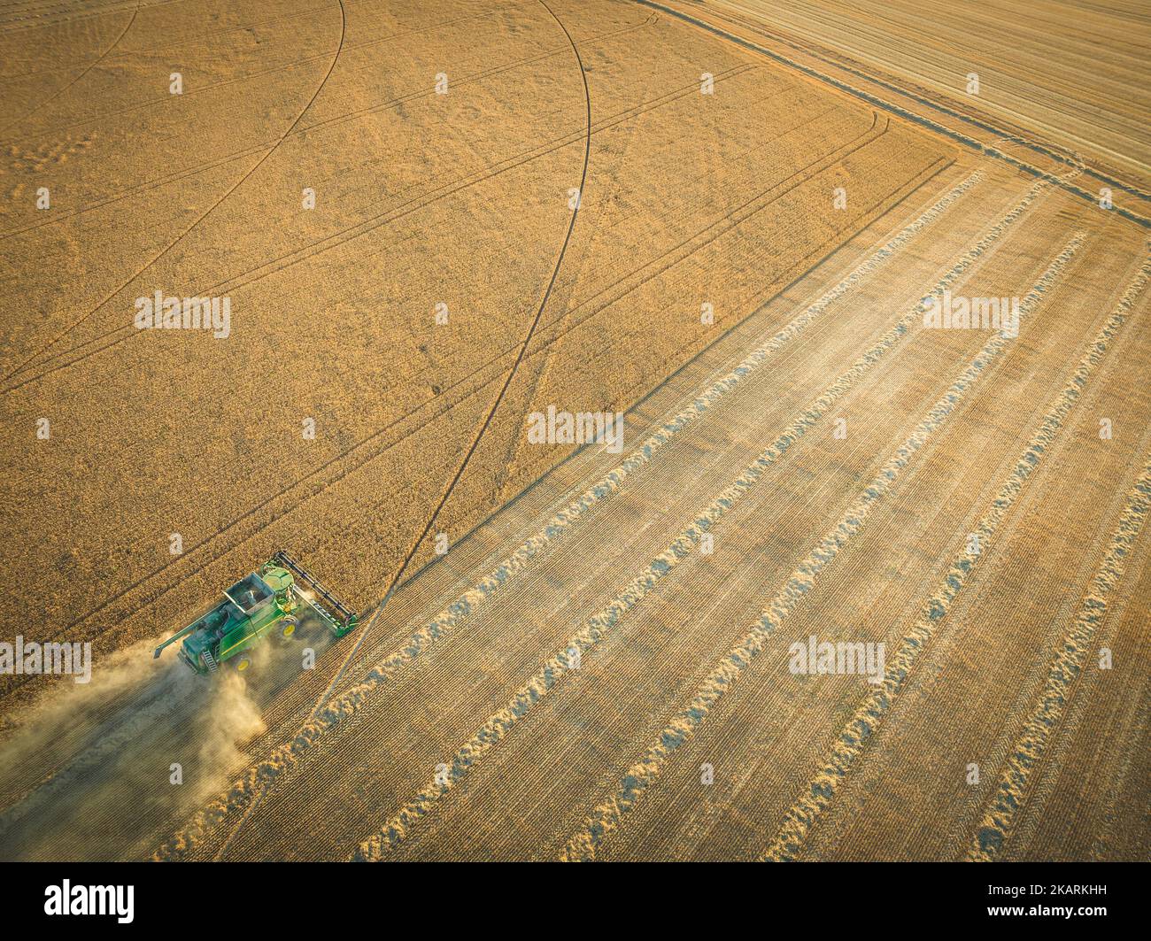 combine harvester working over corn field from aerial point of view ...