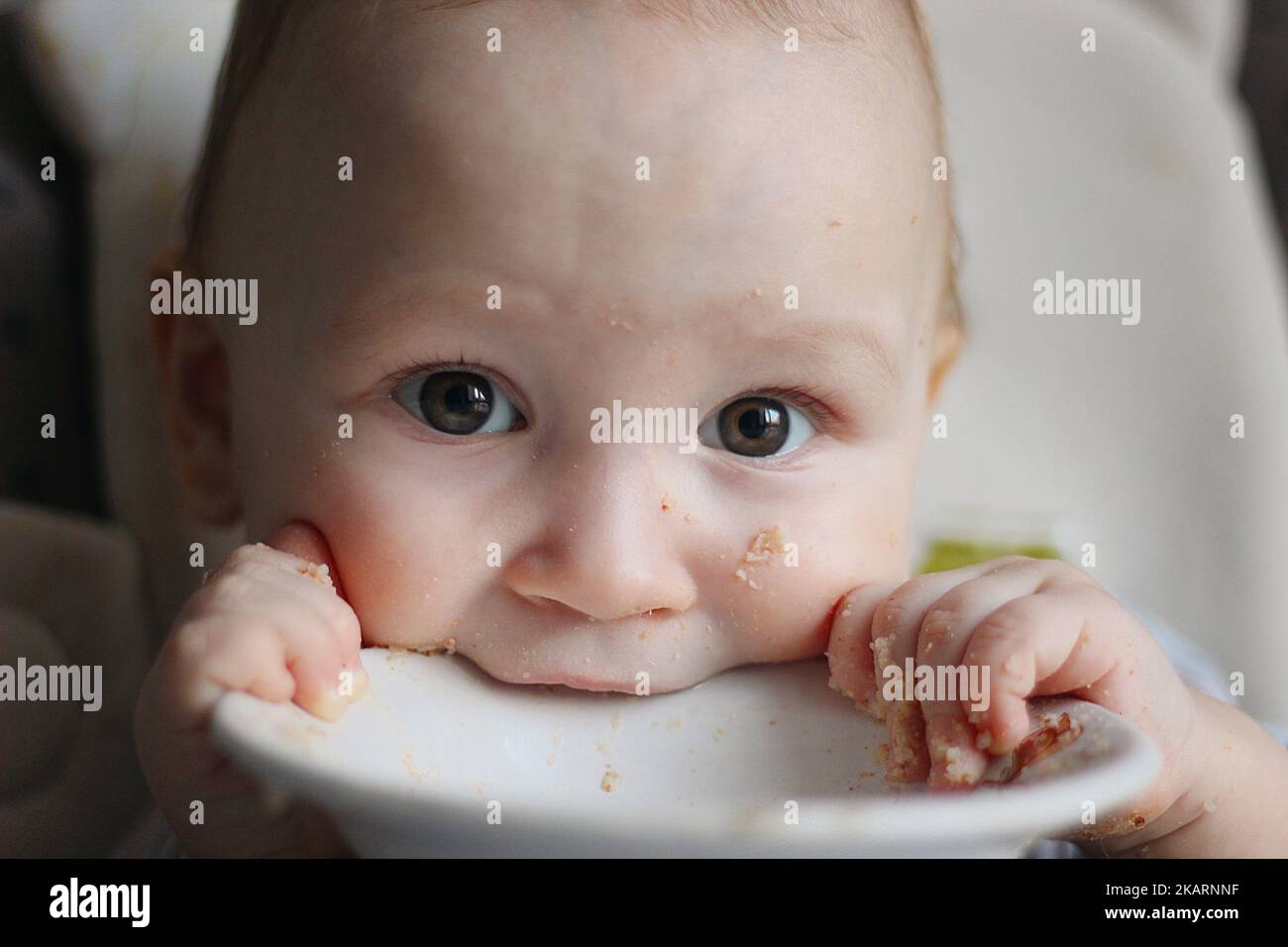 Baby boy biting plate portrait Stock Photo - Alamy