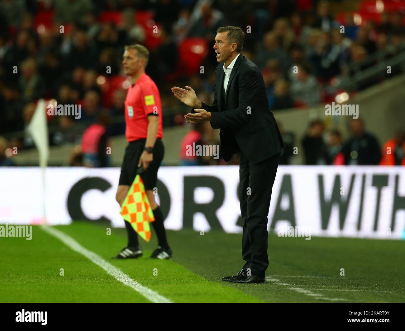 Slovenia's manager Srecko Katanec reacts during FIFA World Cup ...