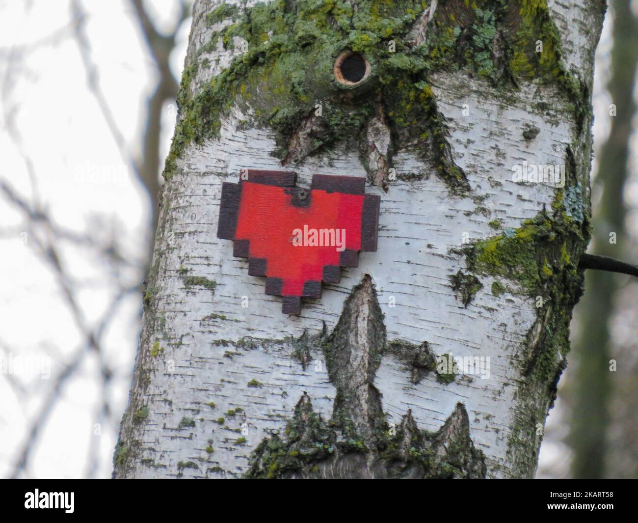 Tree red heart trail hi-res stock photography and images - Alamy